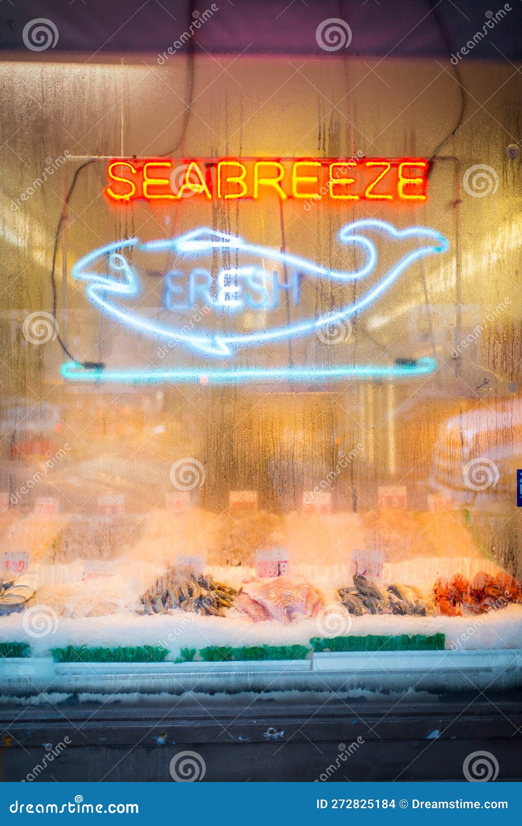 Fresh Neon Sign Hanging in Fish Market Stock Photo - Image of food ...