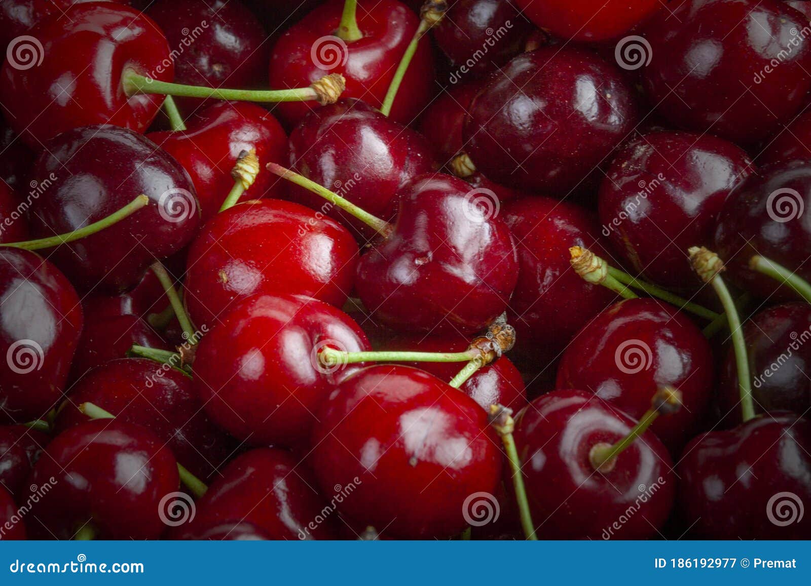 Fresh Nice Cherries Just Picked_1 Stock Image - Image of dessert ...