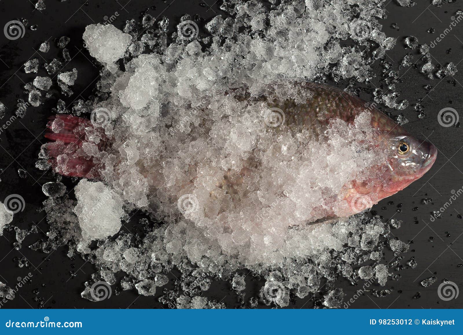 Fresh Nile Tilapia Mango Fish Nilotica Fish on Ice and Black Background ...