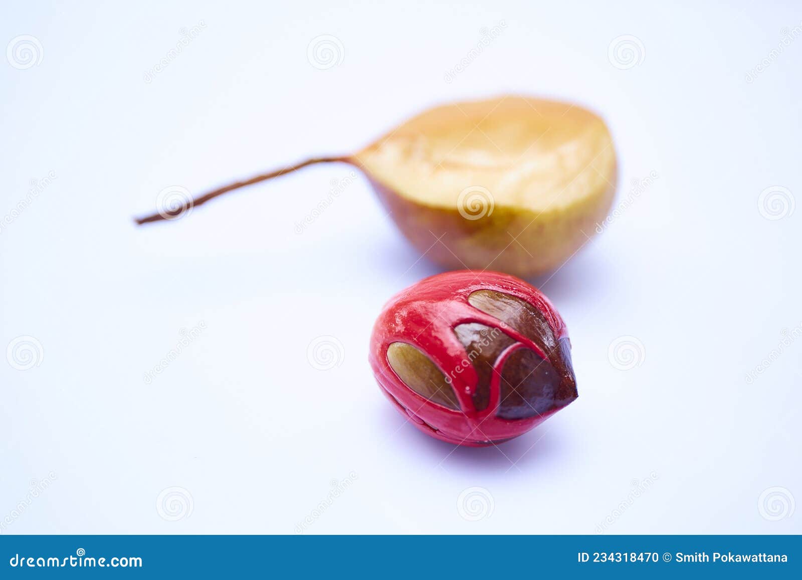 Fresh Nutmeg on White Background Stock Photo - Image of aromatic ...