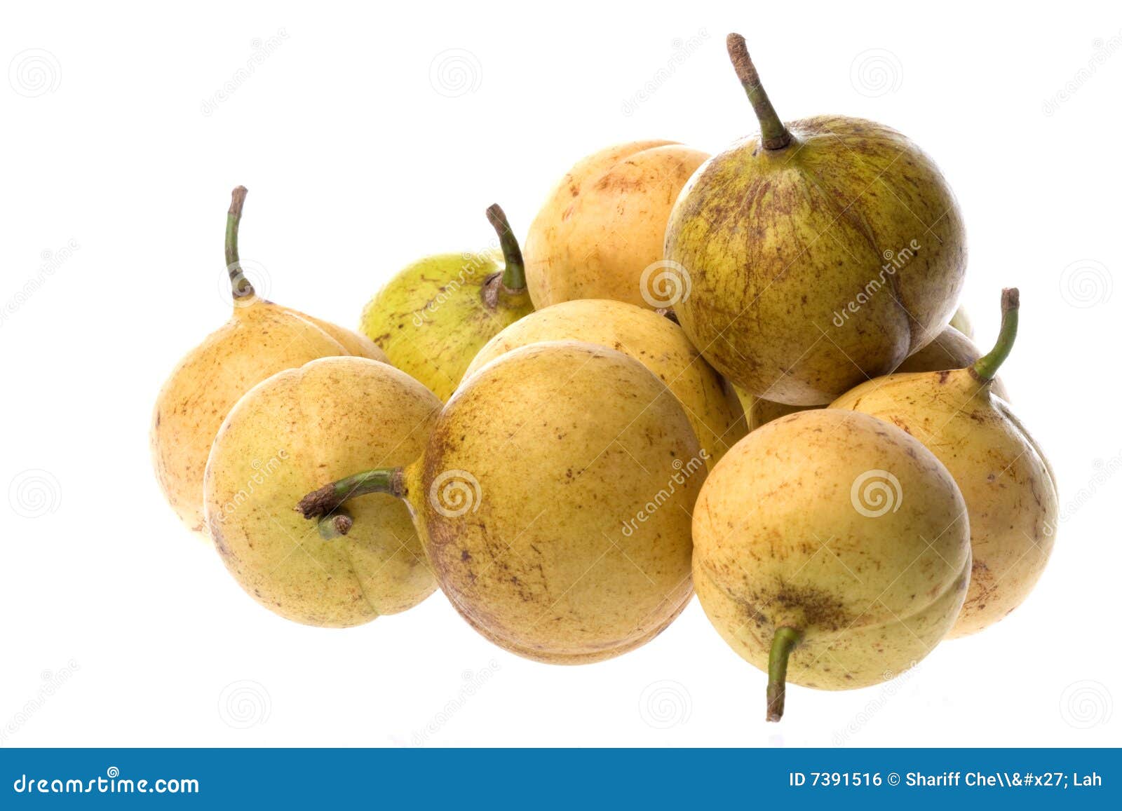 Fresh Nutmegs Isolated stock photo. Image of flavouring - 7391516