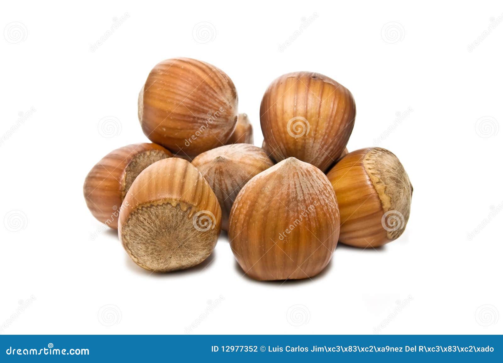 Fresh nuts stock photo. Image of nutrition, vitamins - 12977352