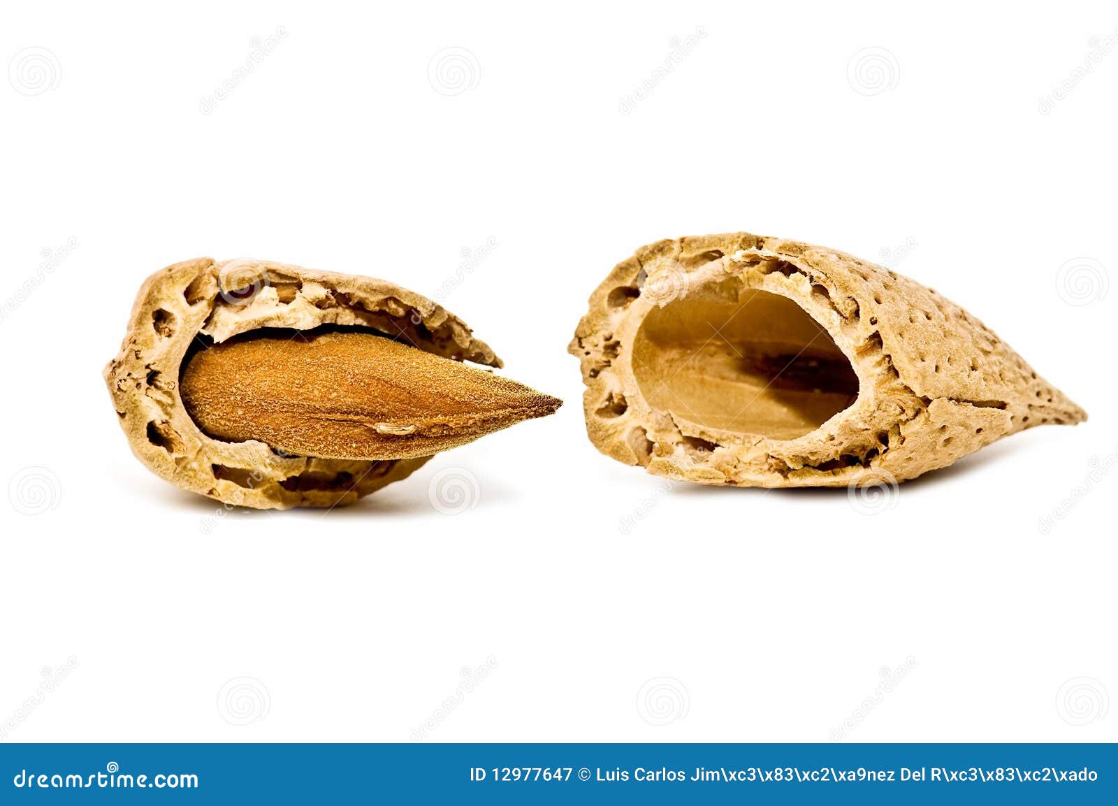 Fresh nuts stock image. Image of season, diet, tree, natural - 12977647