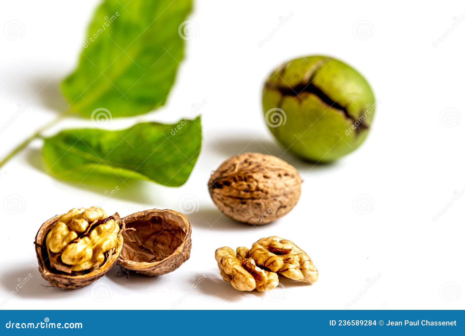 Fresh Nuts with Shell and Leaves- Dried Fruit Stock Photo - Image of ...