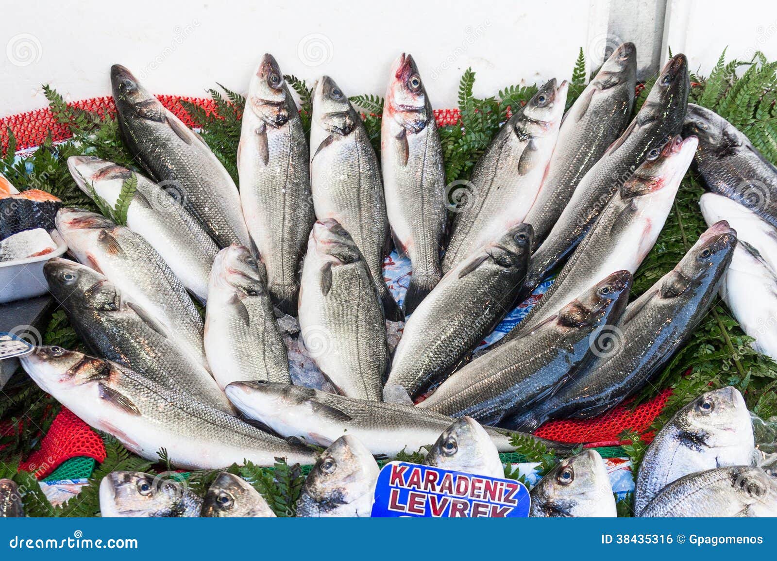 Fresh from the Ocean Sea Bass Fish Catch. Stock Photo - Image of ...