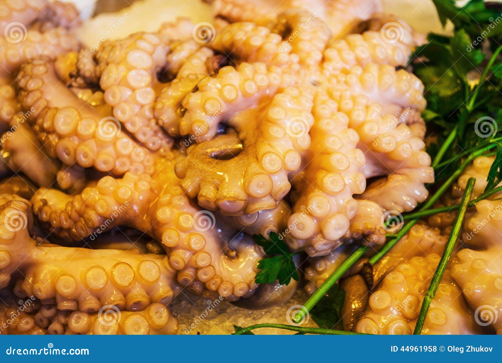 Fresh Octopus on a Fish Market Stock Photo - Image of fishery, ocean ...