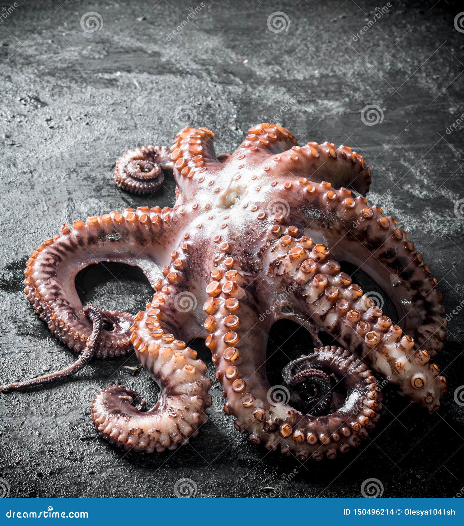64,687 Octopus Food Stock Photos - Free & Royalty-Free Stock Photos ...