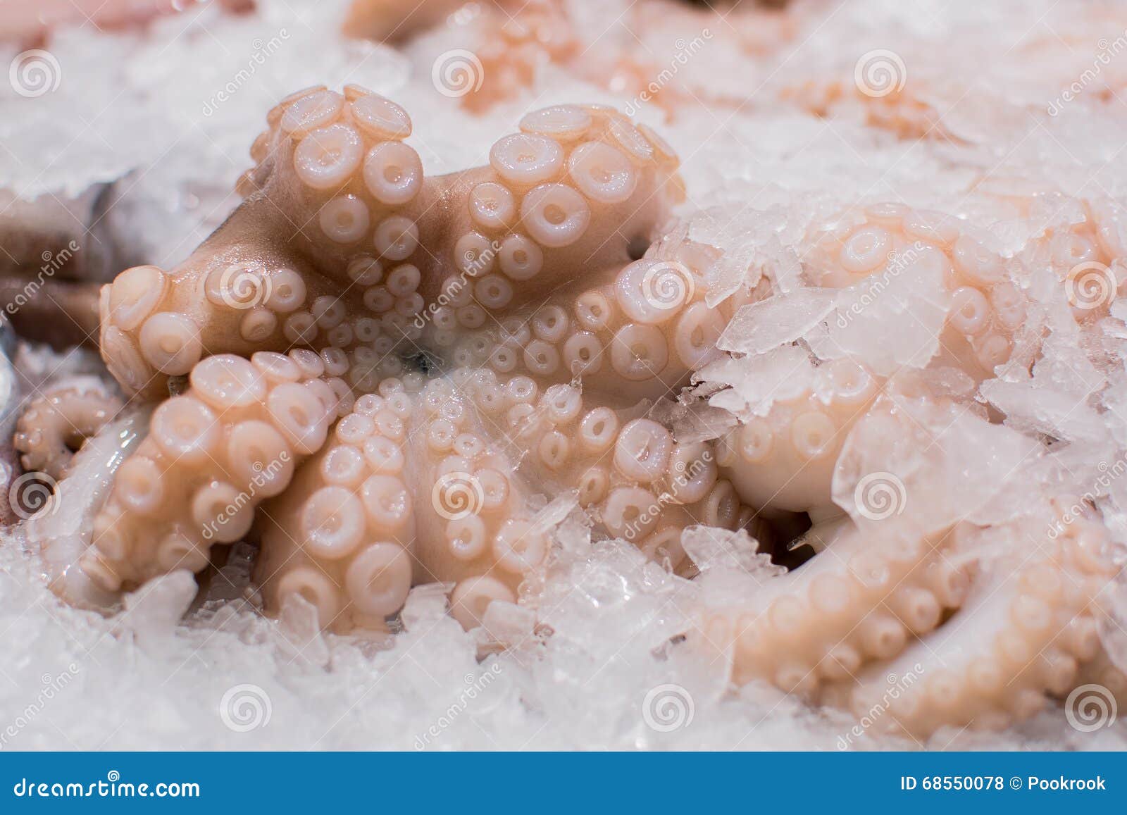 Fresh Octopus on Ice at the Fish Market Stock Photo - Image of close ...