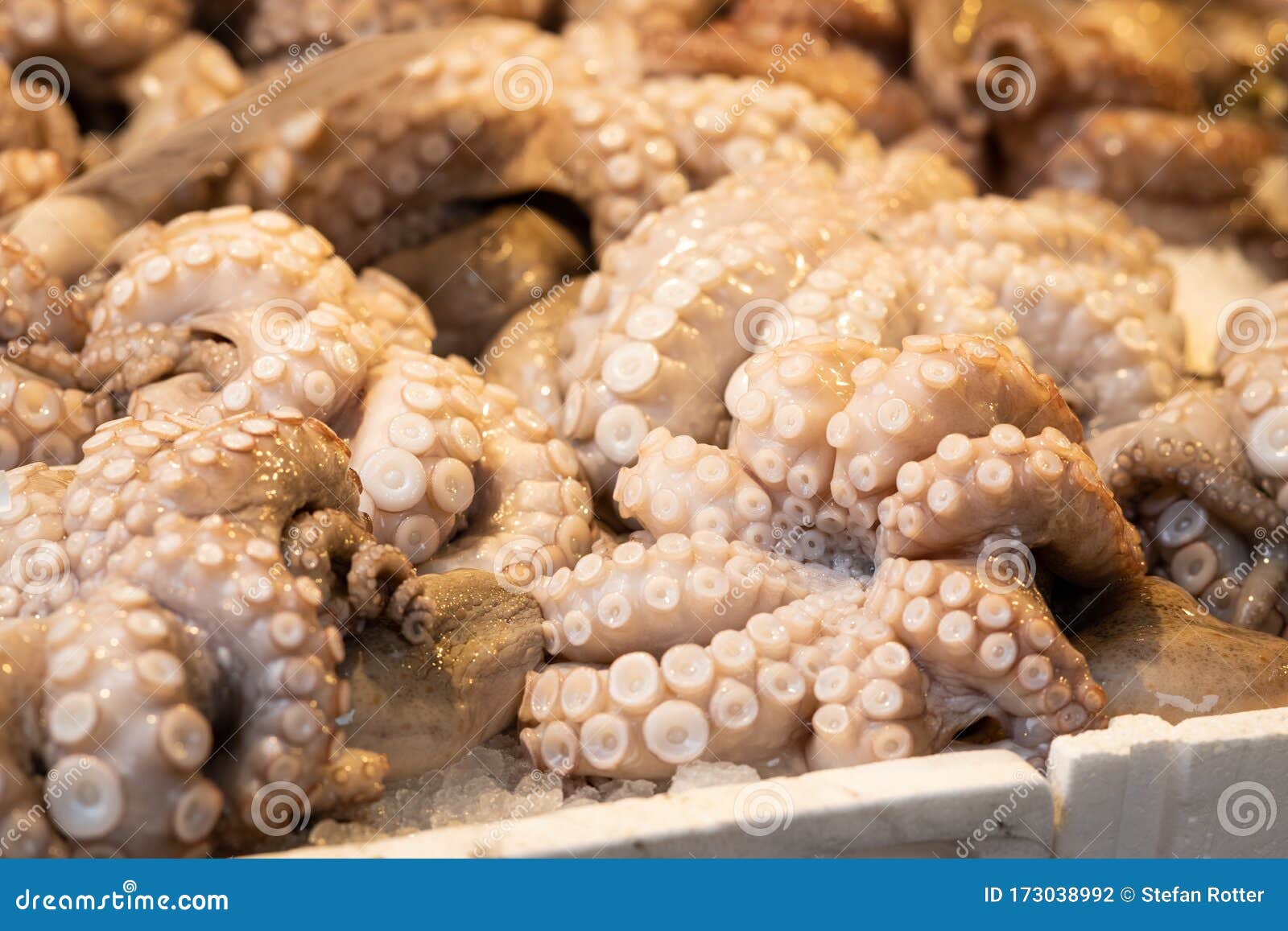 Fresh Octopus Lying on a Table, Market in Venice Stock Photo - Image of ...