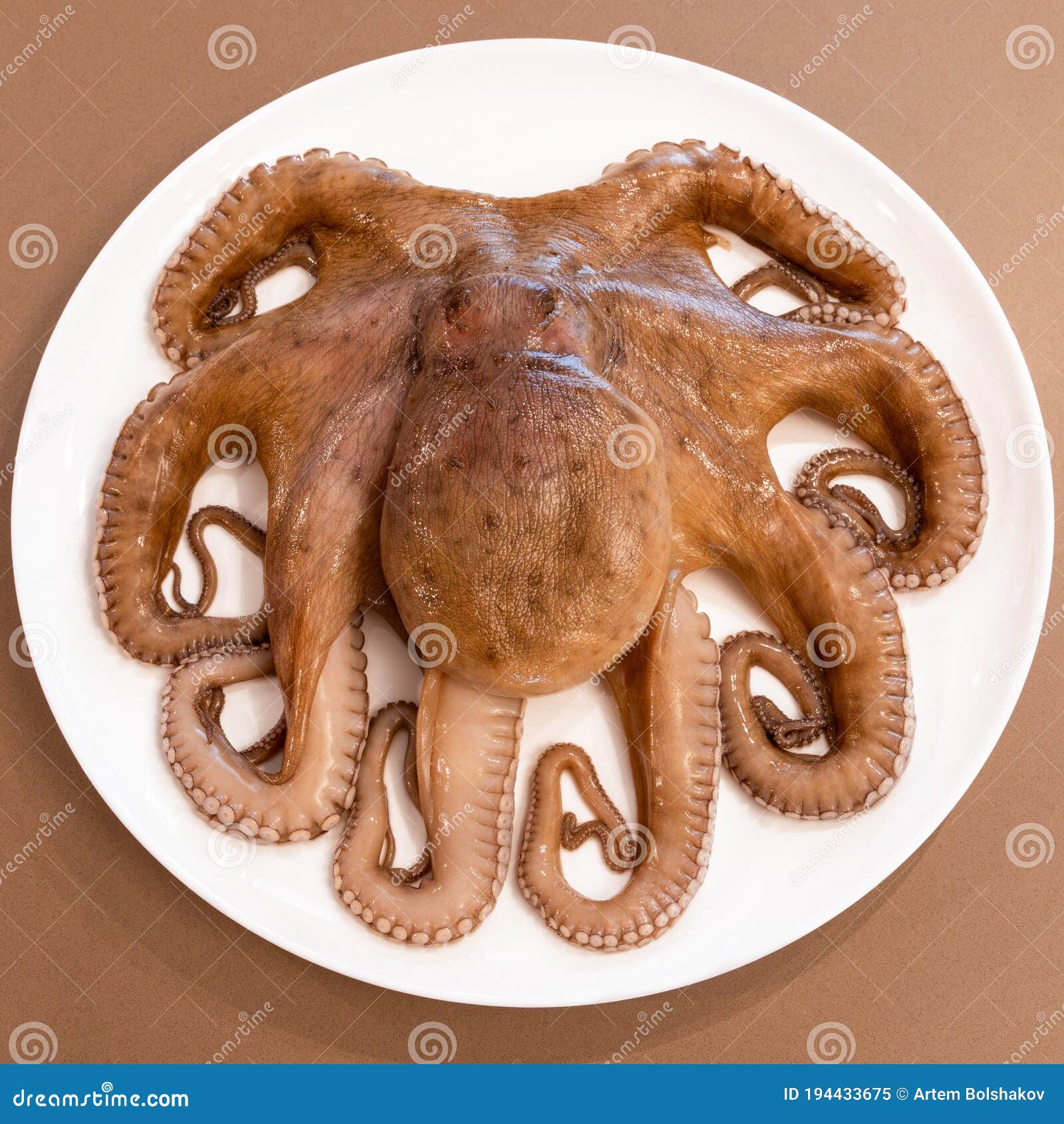 Fresh Octopus on a White Dish, Ready for Cooking Stock Image - Image of ...