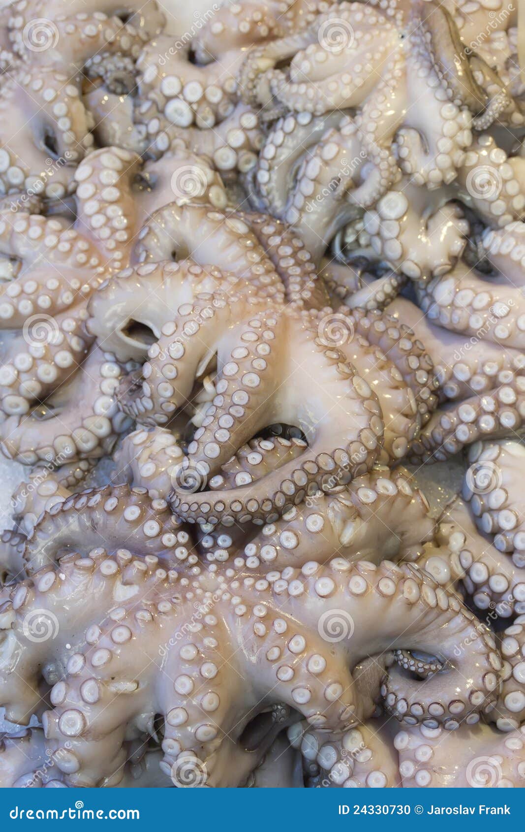 Fresh Octopuses Prepared To Sell at the Market Stock Photo - Image of ...