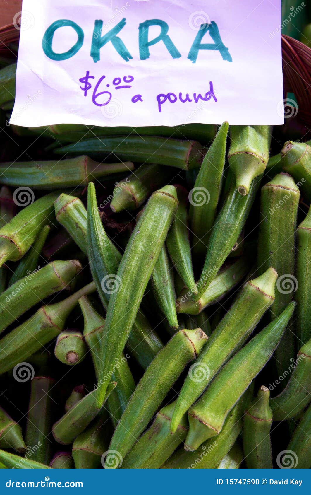 Fresh Okra stock photo. Image of okra, summer, vegetables - 15747590