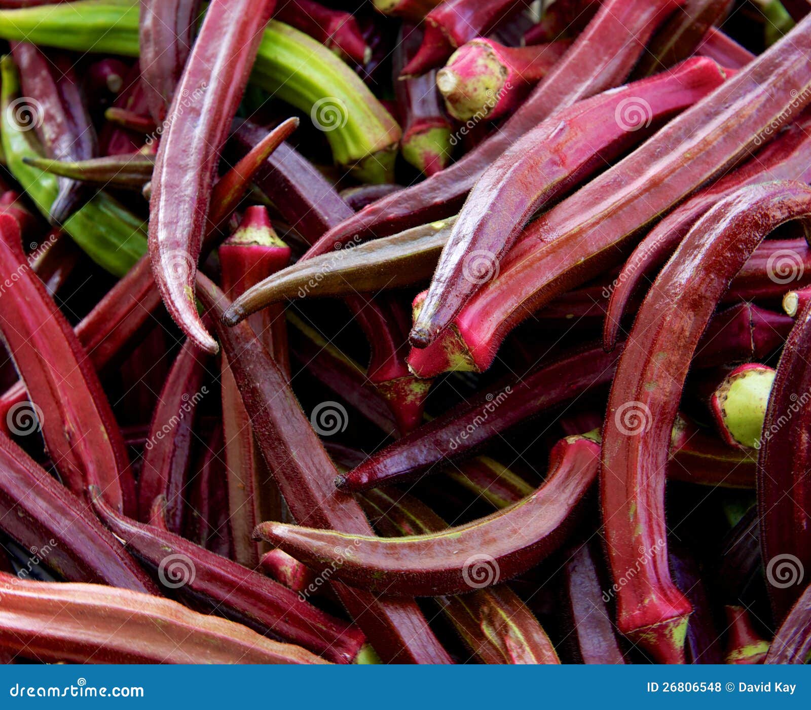 Fresh Okra stock photo. Image of food, healthy, fresh - 26806548