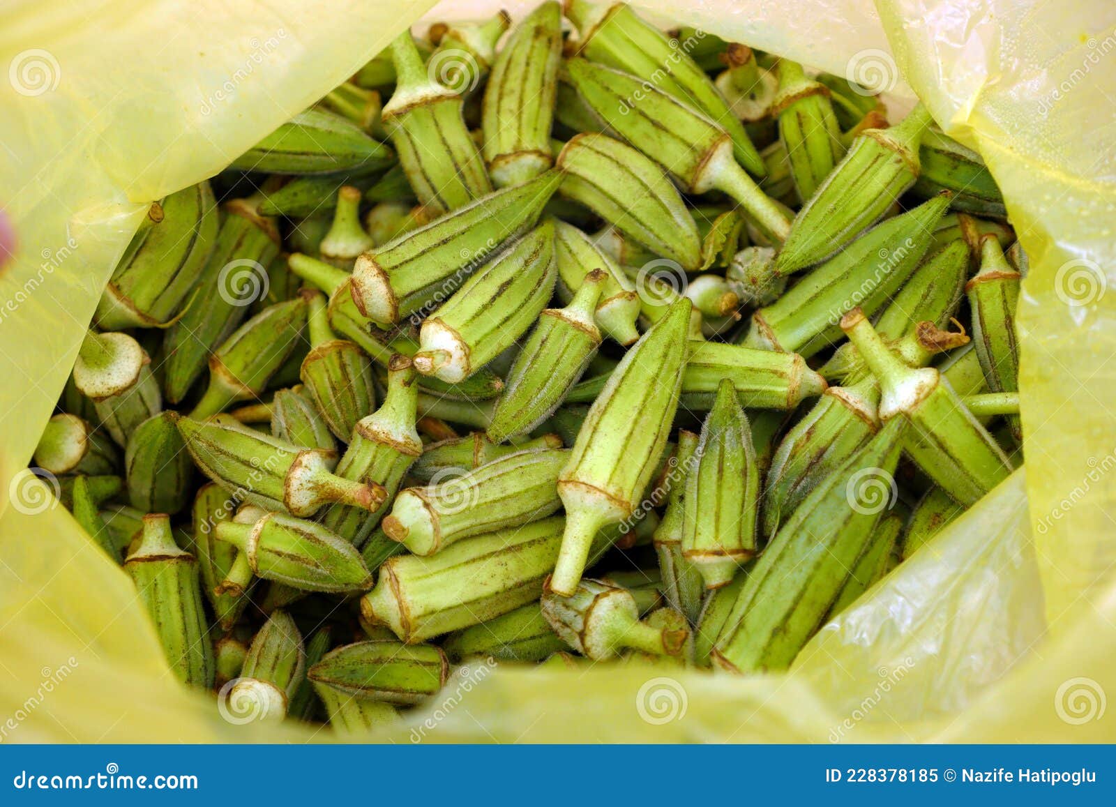 Fresh Okra for Cooking, Okra Plant in a Bag, Okra Grains Stock Image ...