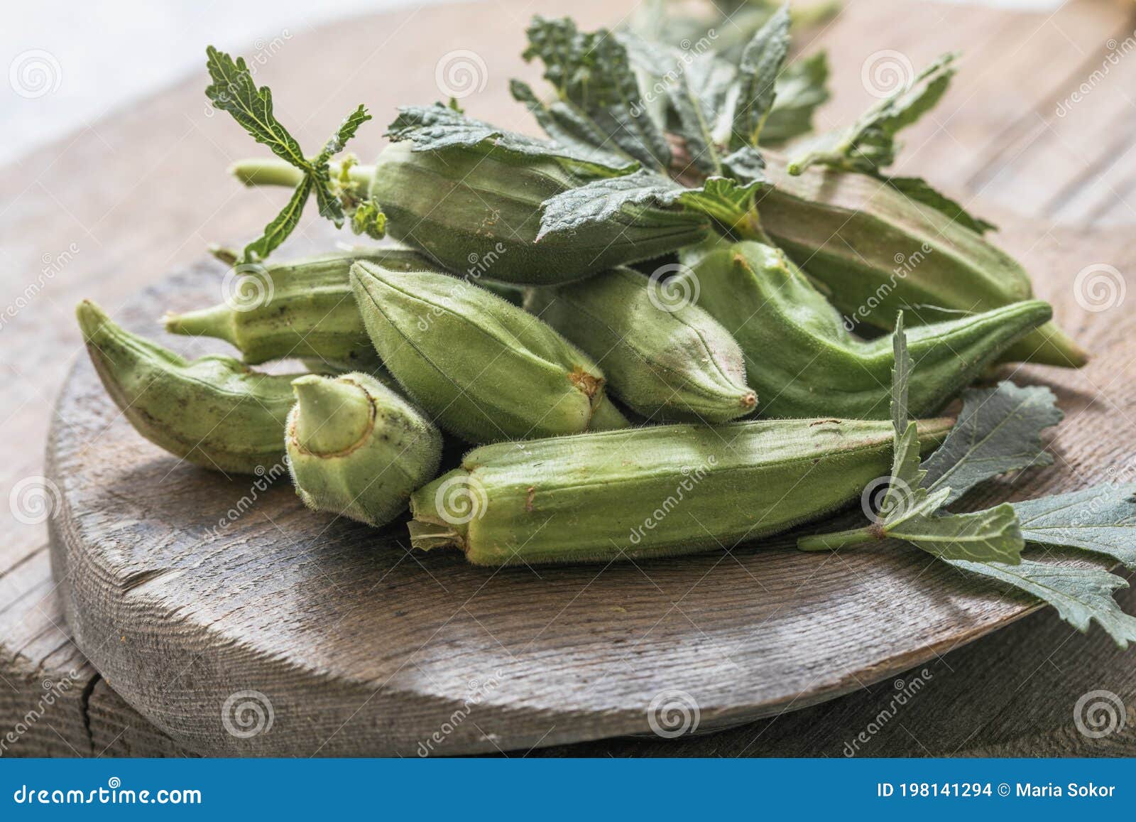 Fresh Okra or Lady Finger Vegetable Stock Photo - Image of heap ...