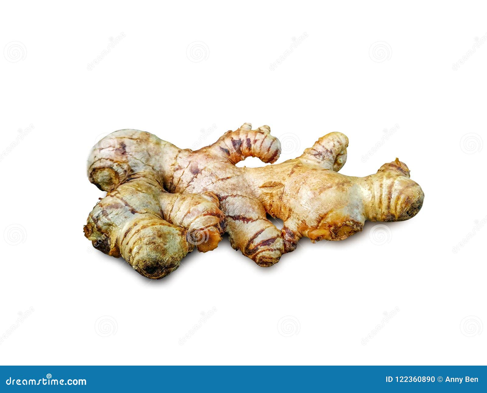 Old Ginger Isolated on White Stock Photo - Image of natural, fresh ...