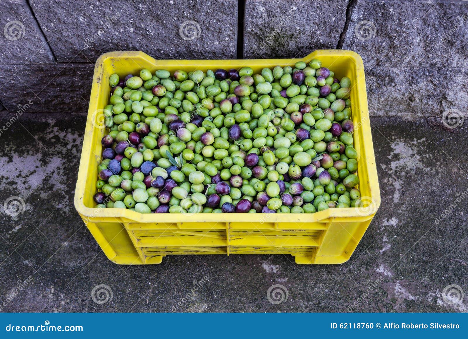 Fresh olives stock photo. Image of fruit, wooden, nature - 62118760