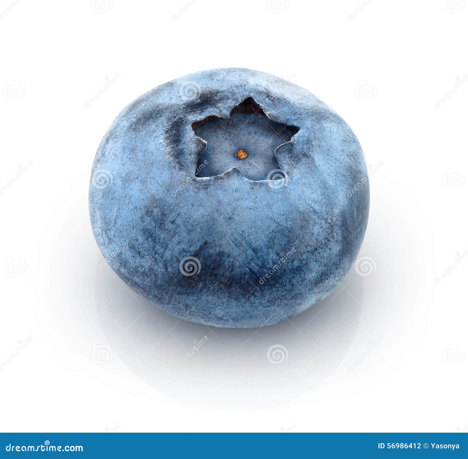 One Blueberry
