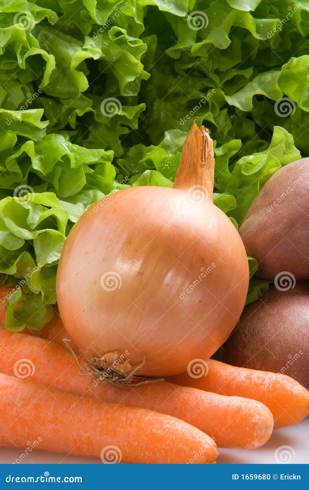 Fresh onion stock photo. Image of onion, batavian, salad - 1659680