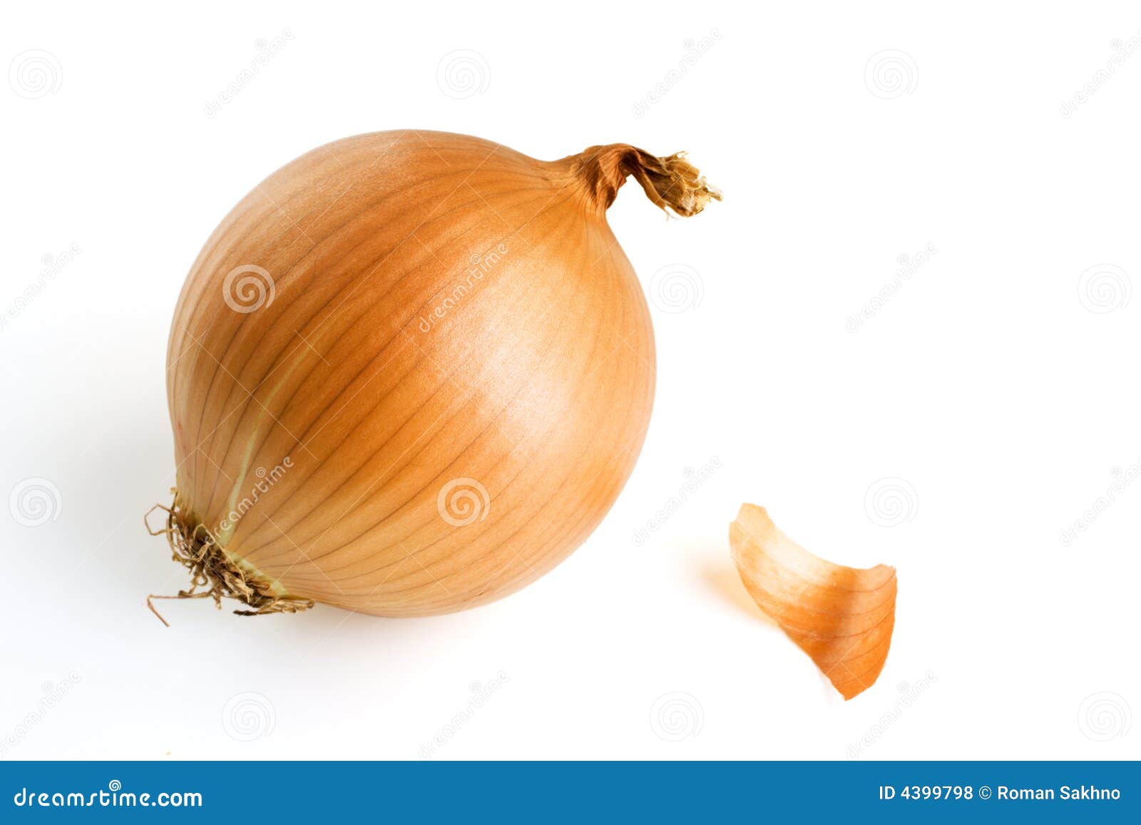 Fresh onion stock photo. Image of dieting, onion, ingredient - 4399798