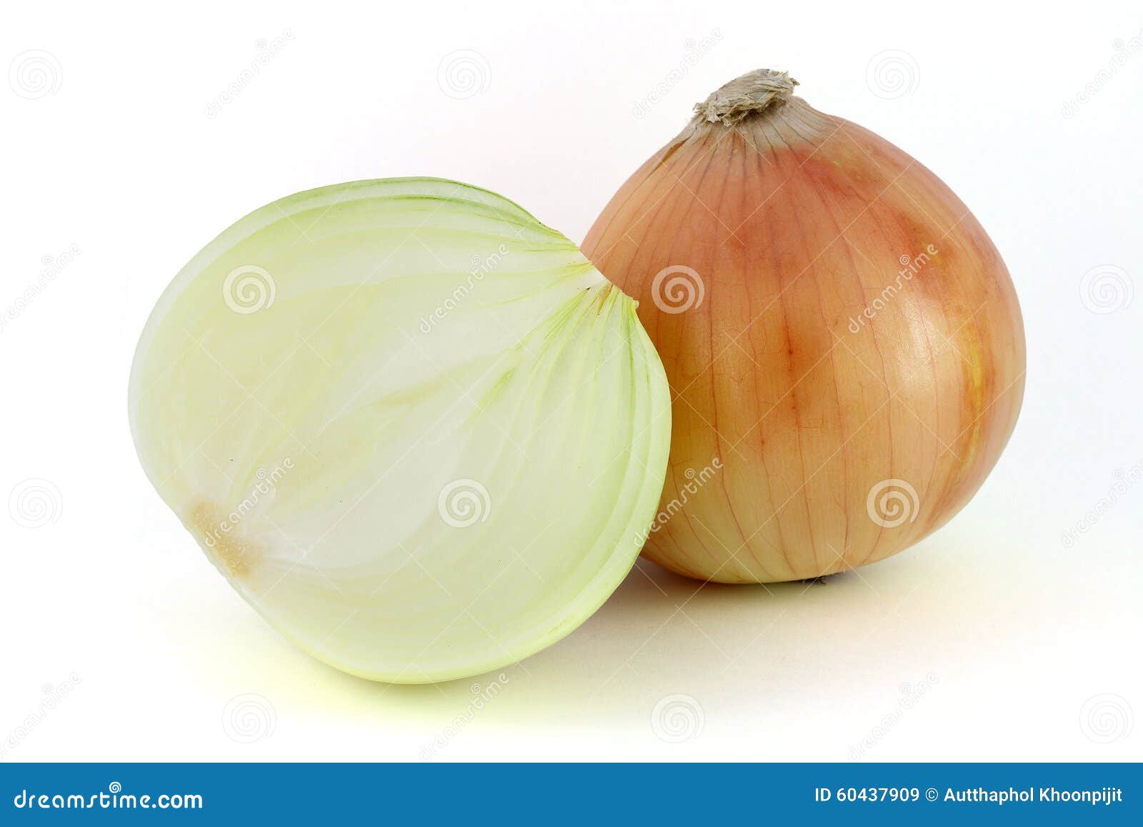 Fresh onion bulbs stock image. Image of closeup, culture - 60437909