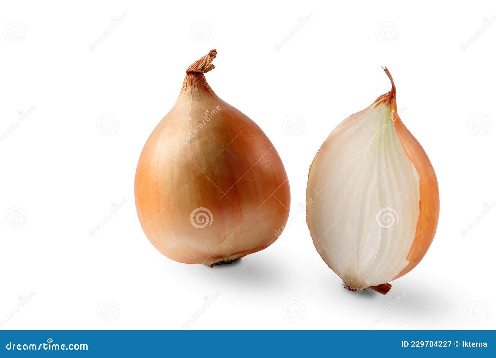 Fresh Onion Bulbs Isolated on White Background Stock Image - Image of ...