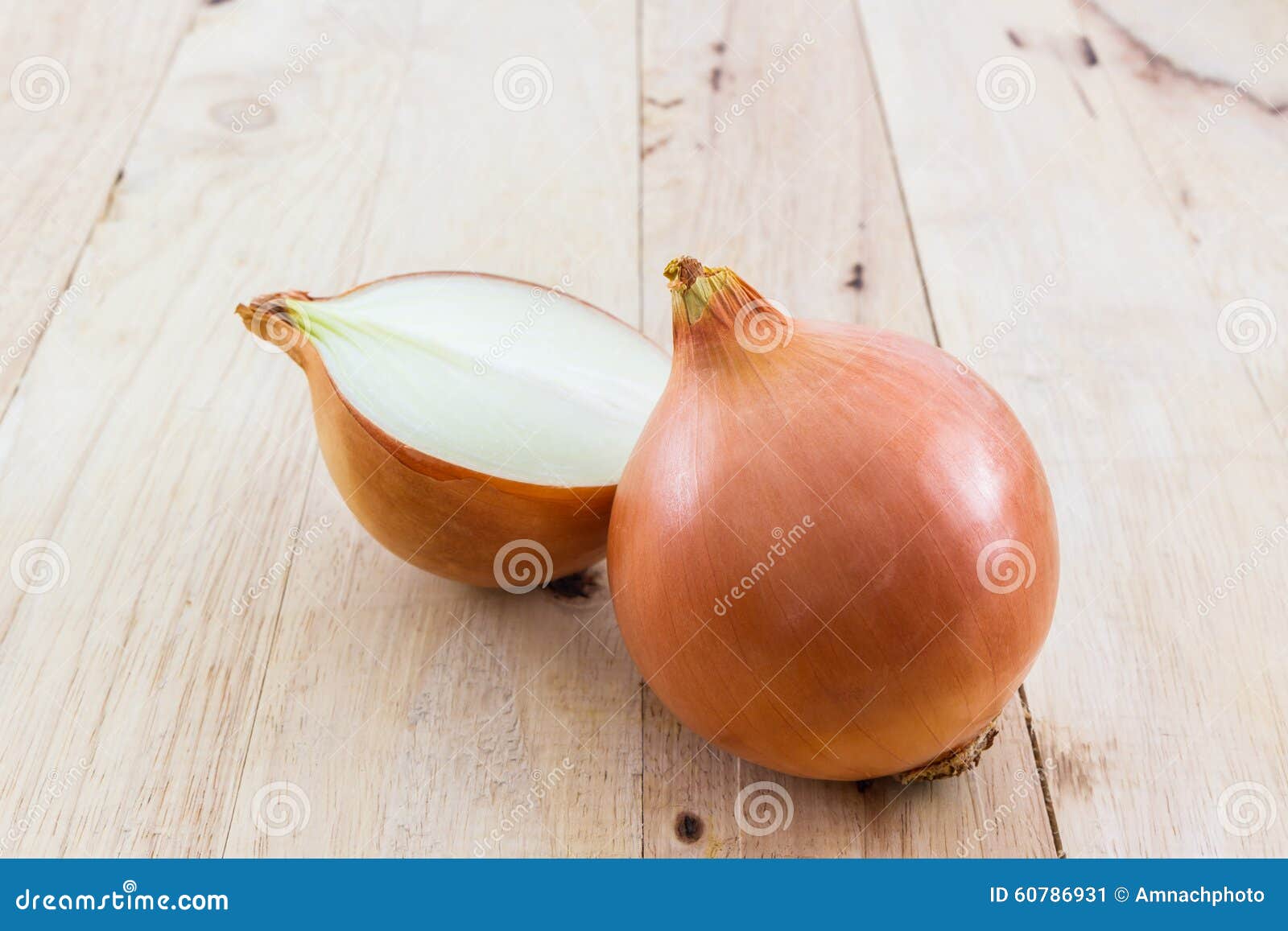 Fresh onion bulbs. stock image. Image of halved, closeup - 60786931