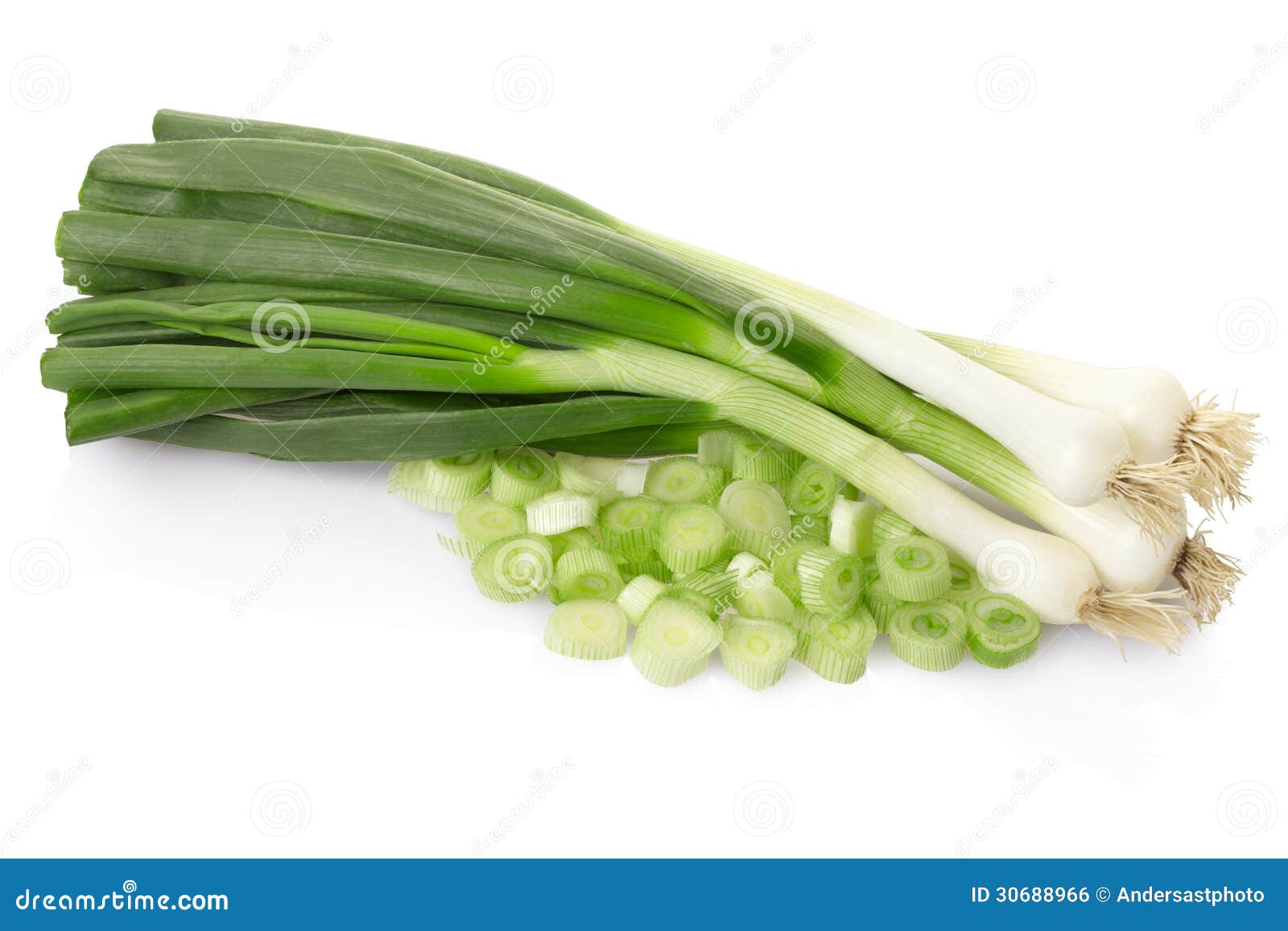 Fresh onion bunch stock photo. Image of macro, root, ingredient - 30688966