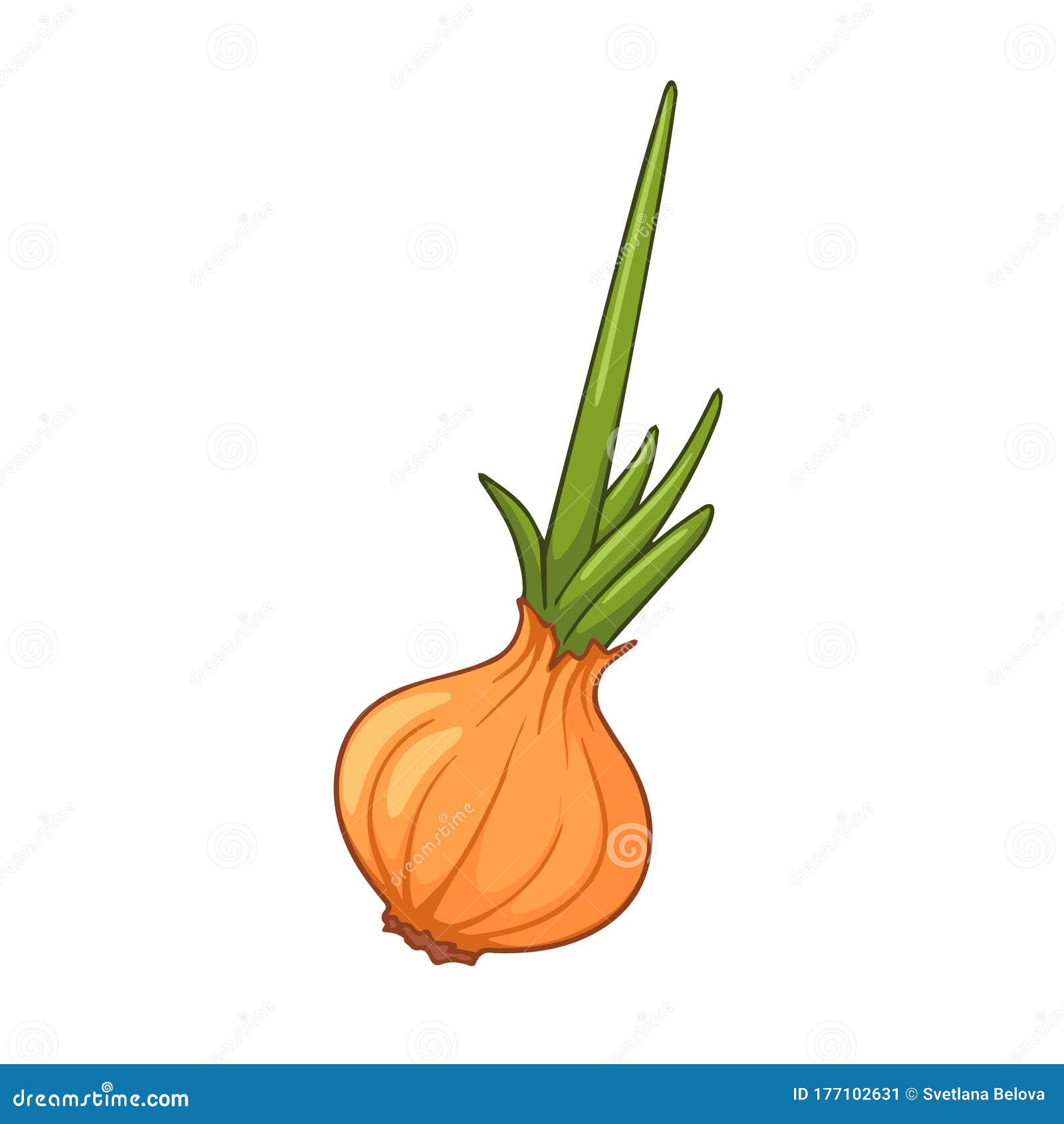 Onion Cartoon Vector Illustration | CartoonDealer.com #72947130
