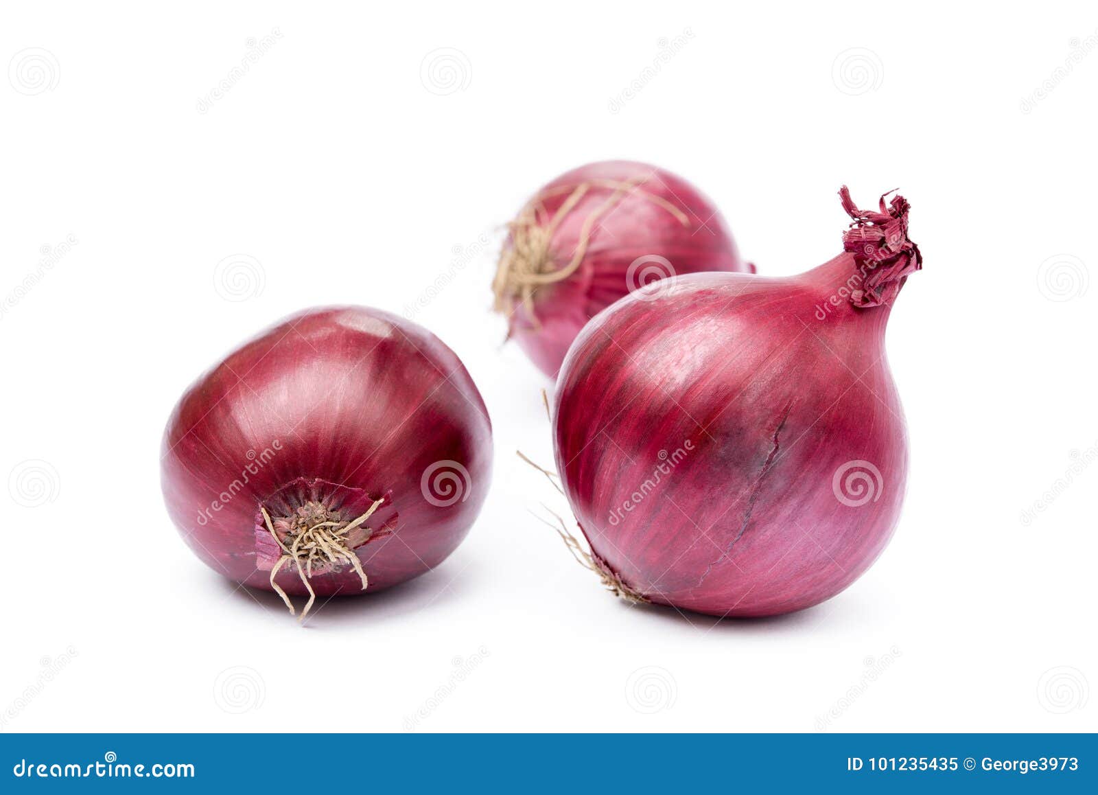 Fresh onion isolated stock image. Image of clipping - 101235435