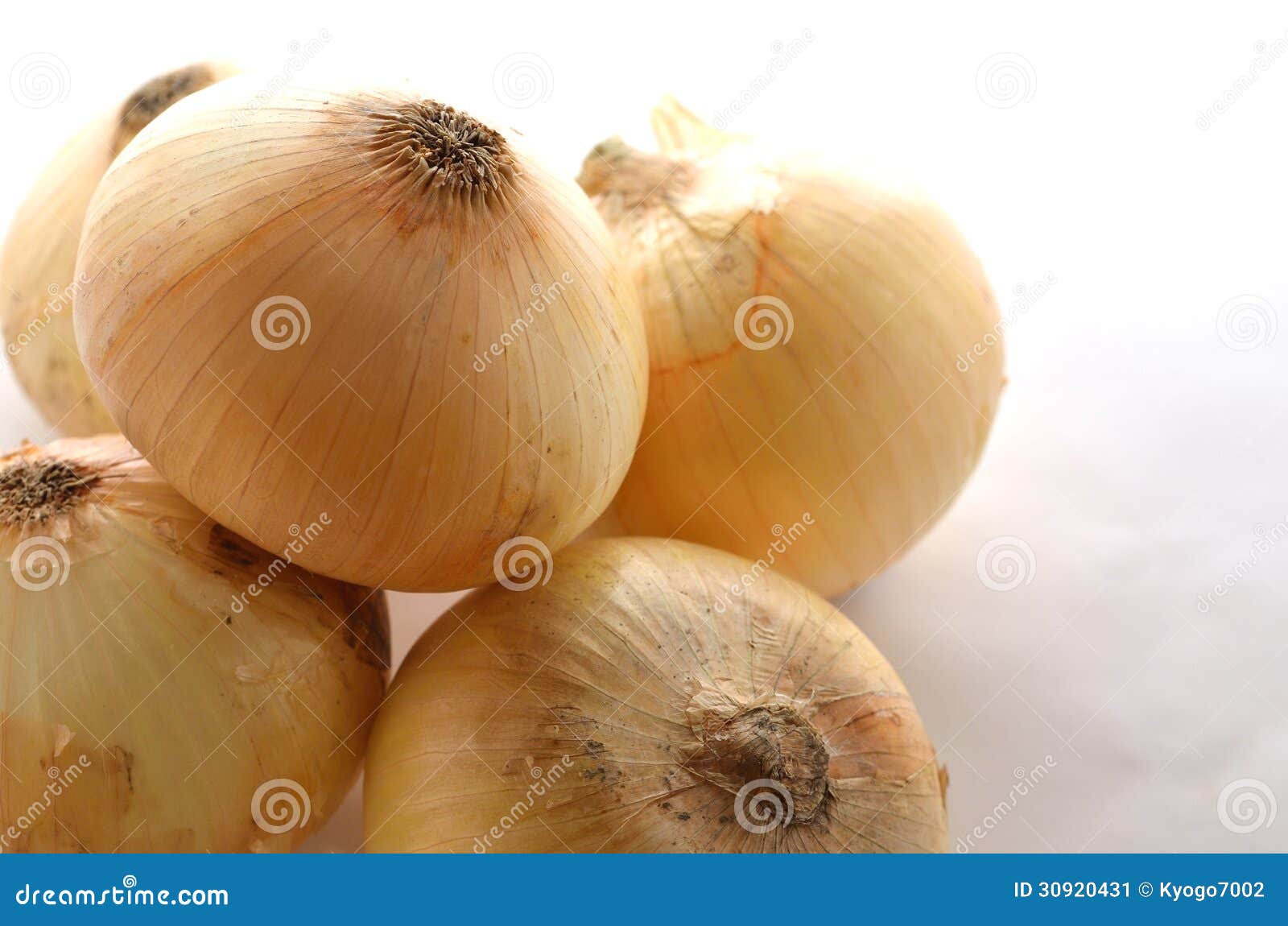 Fresh onion stock image. Image of vegetables, plurality - 30920431
