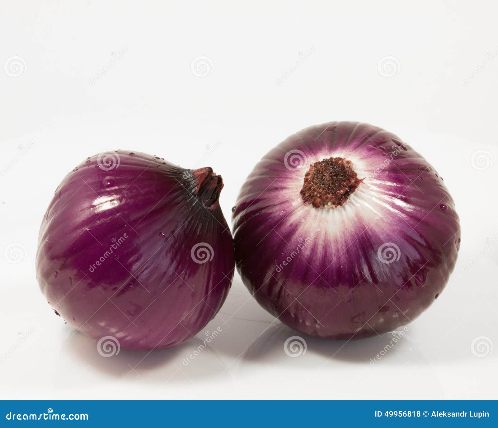 Fresh onion stock photo. Image of food, health, cookong - 49956818
