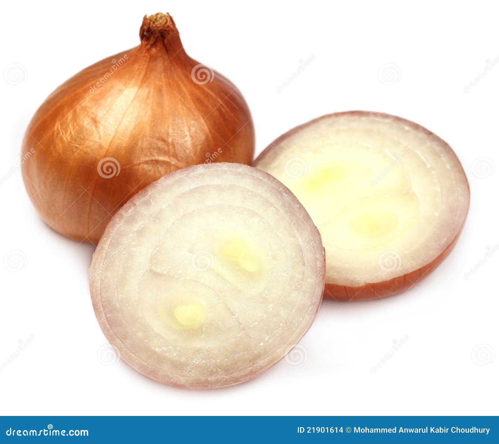 Fresh onions stock photo. Image of healthy, close, ingredient - 21901614