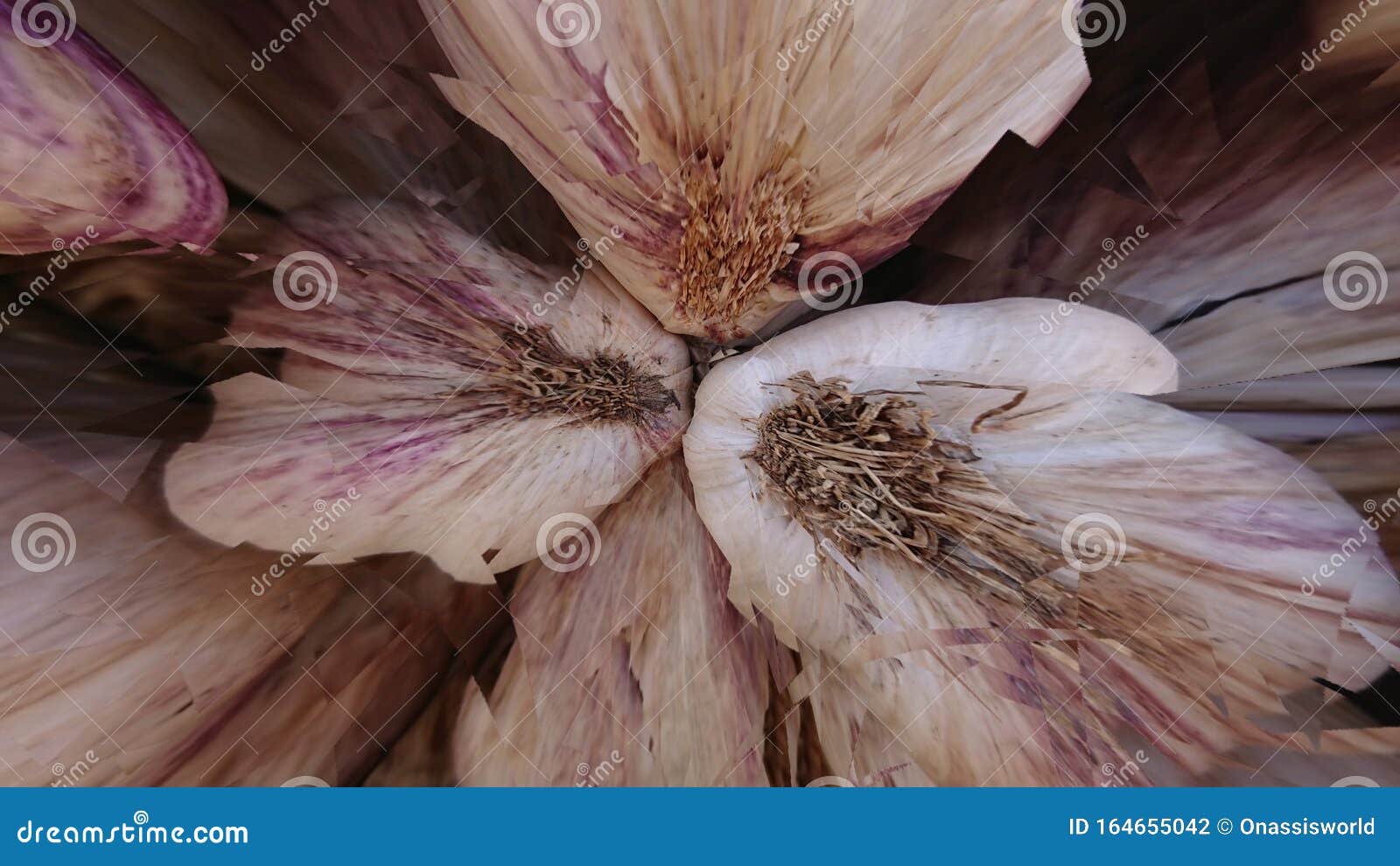 Fresh Onions Abstract Paint Art Stock Photo - Image of abstract, fresh ...