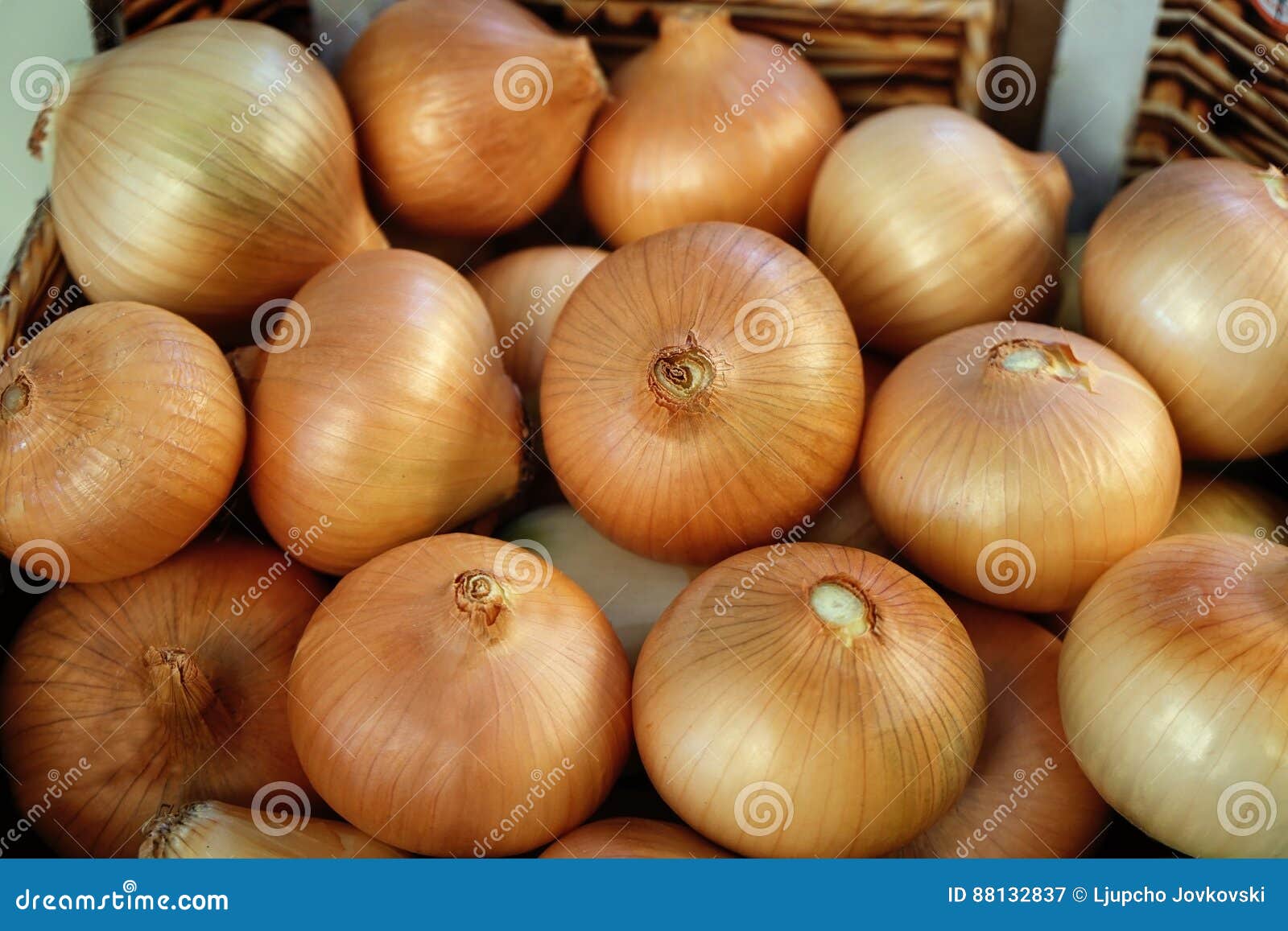 Fresh onions stock image. Image of natural, closeup, fresh - 88132837