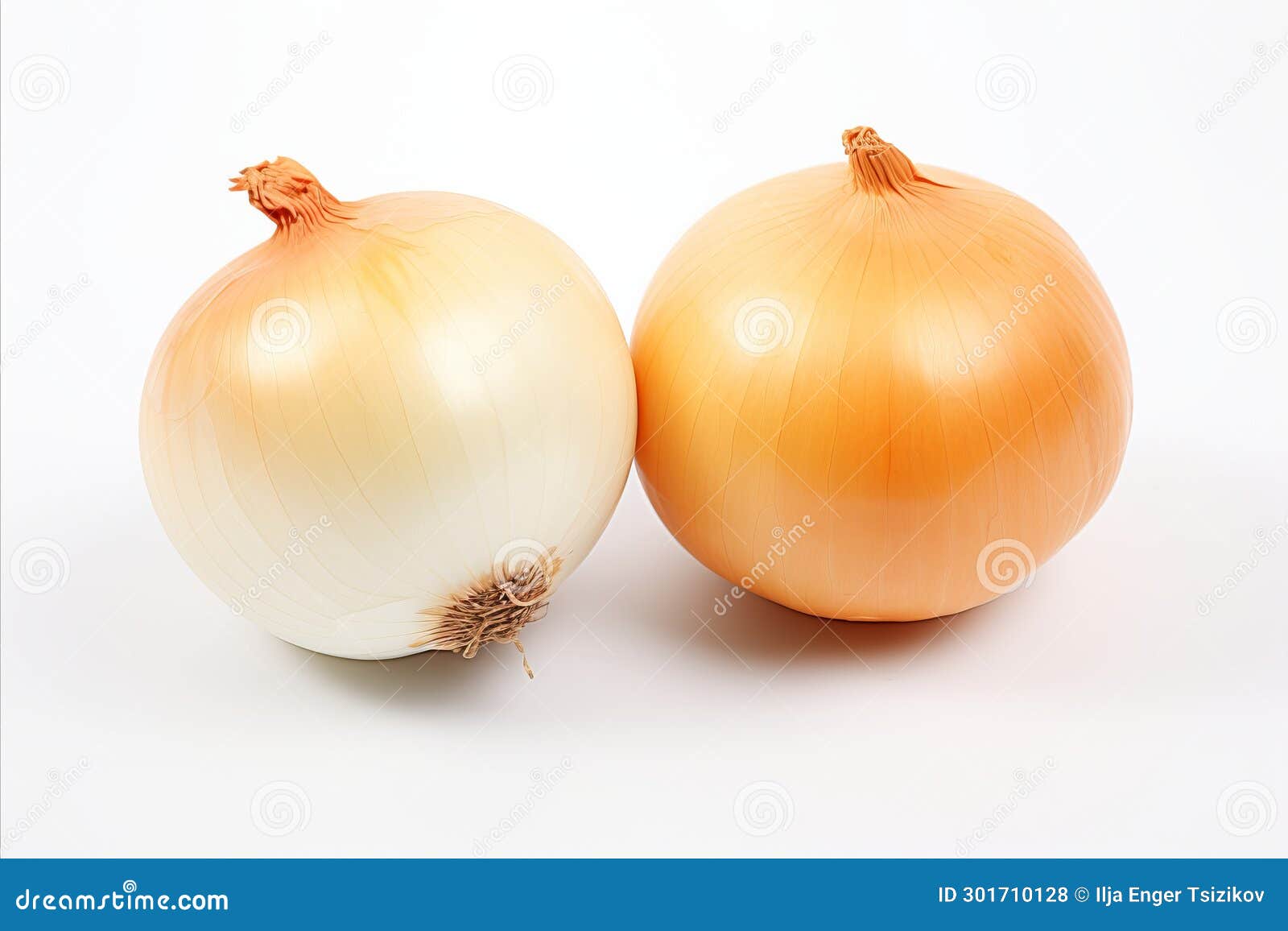 Fresh Onions on a Clean White Backdrop for Eye Catching Visuals in Ads ...
