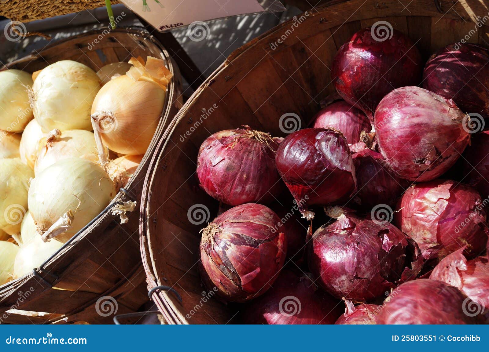 Fresh Onions at Farmer S Market Stock Image - Image of onion, market ...