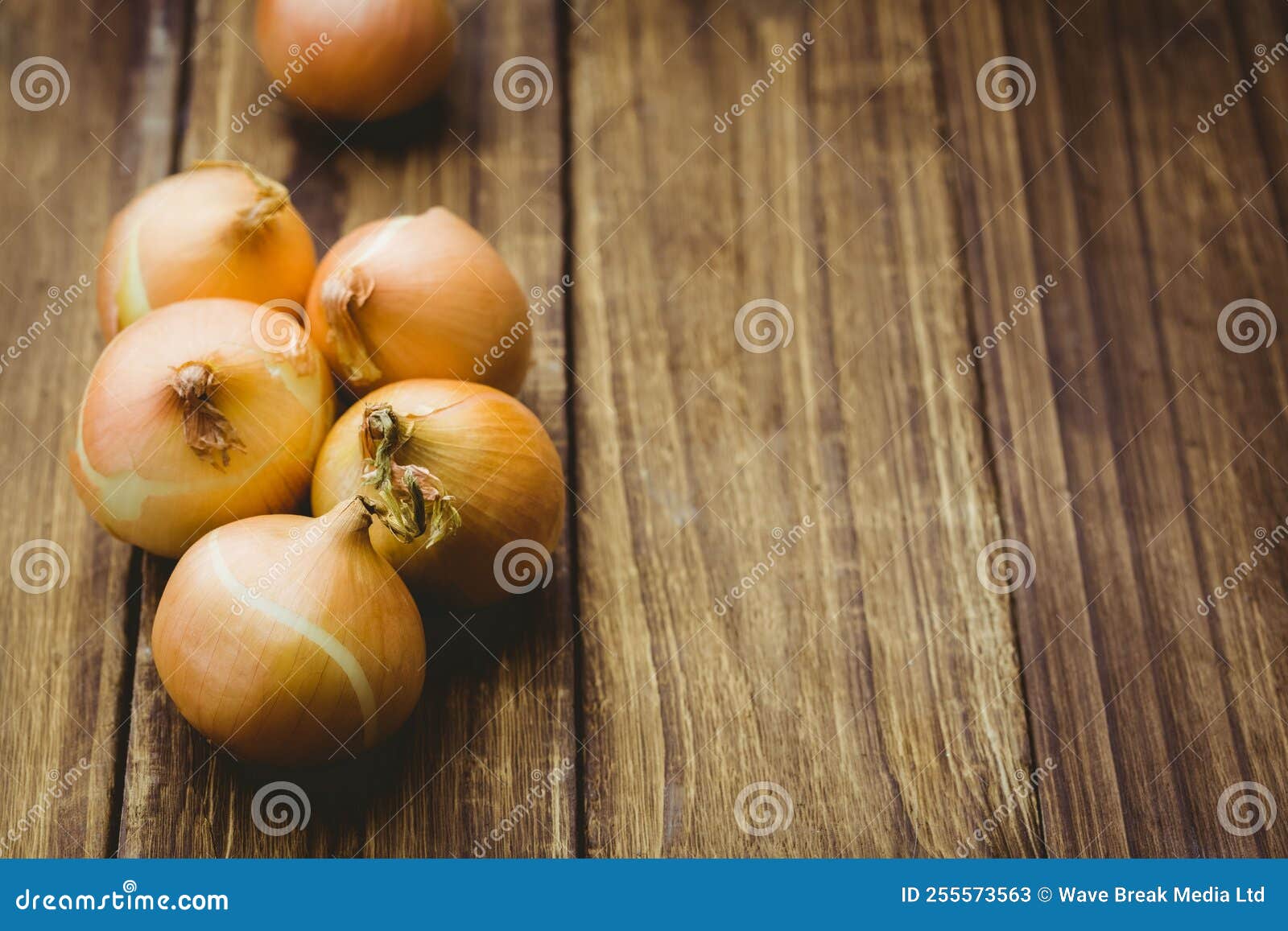 Fresh onions stock image. Image of shallot, cooking - 255573563