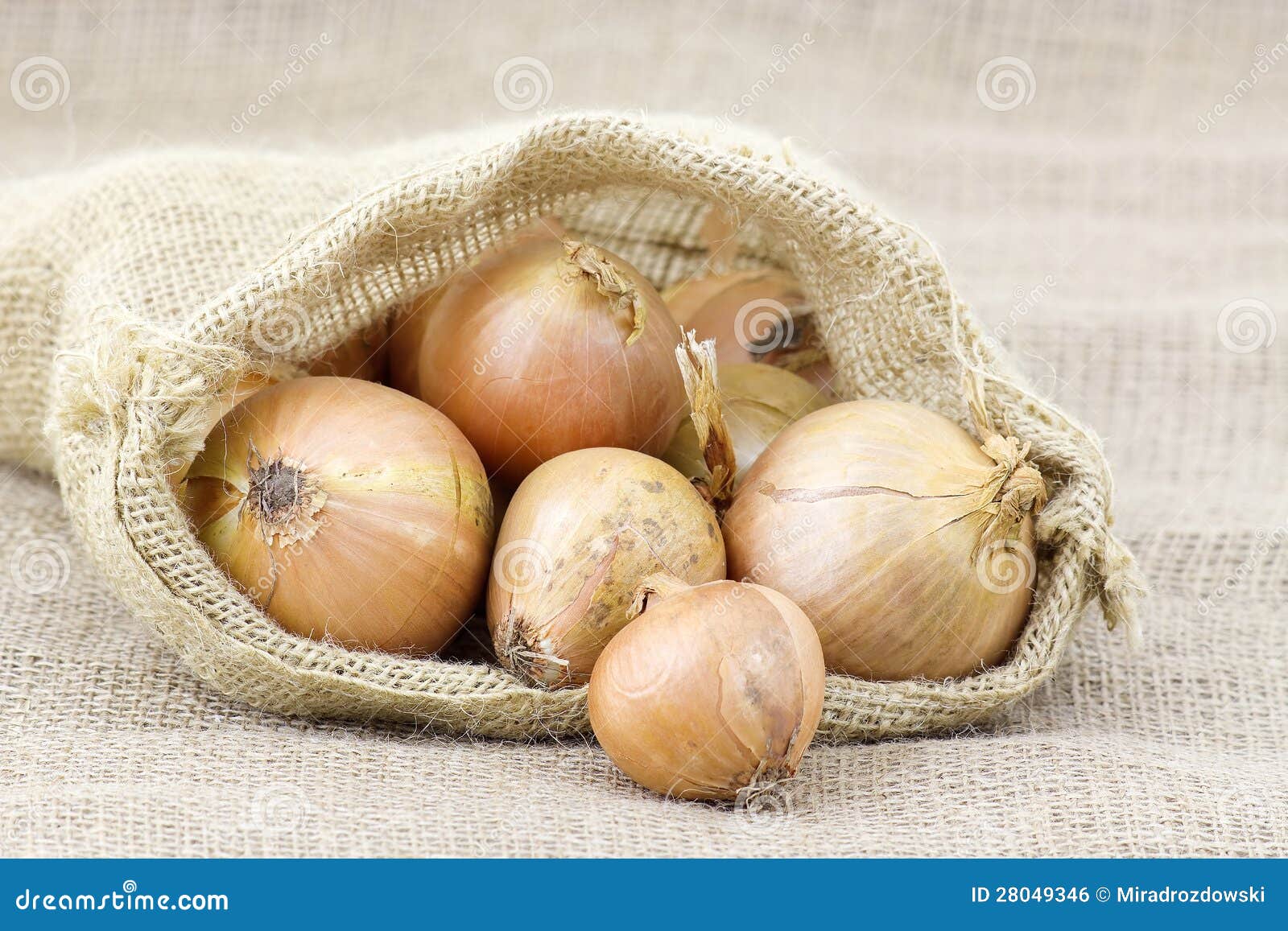 Fresh onions in package stock photo. Image of fresh, healthy - 28049346