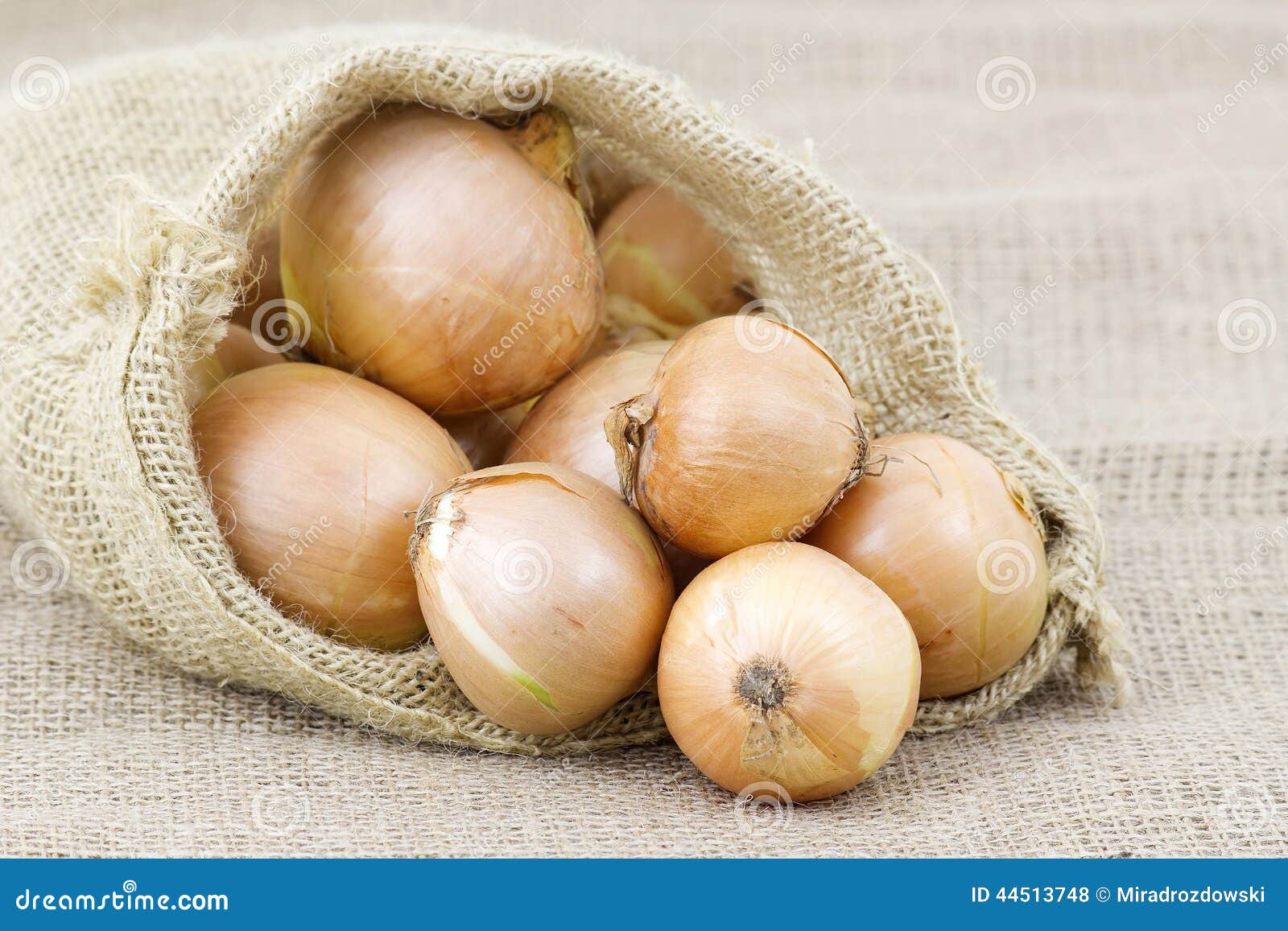 Fresh onions in package stock photo. Image of packed - 44513748