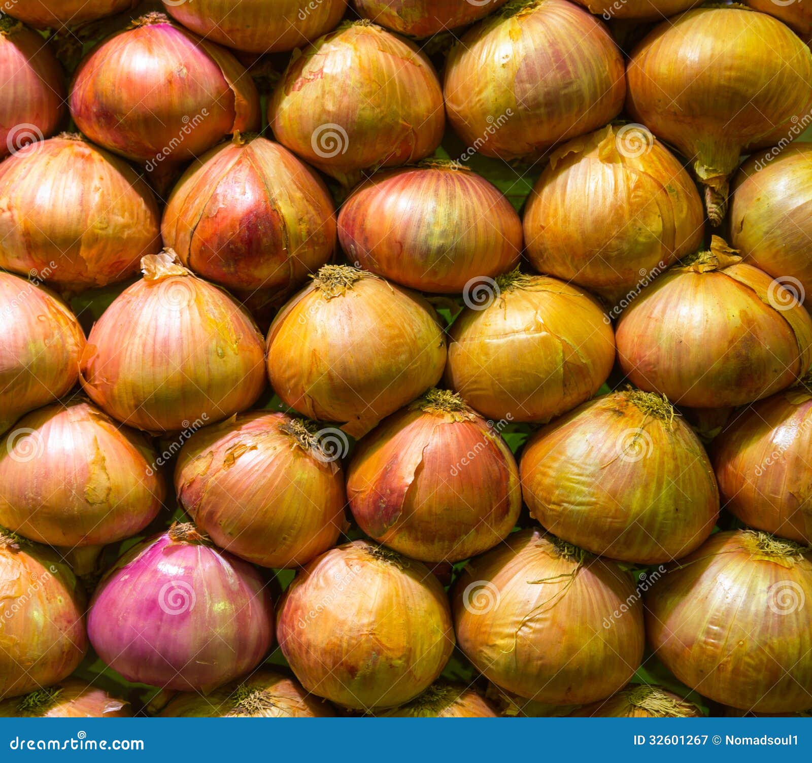 Fresh onions stock image. Image of crop, vegetable, vibrant - 32601267