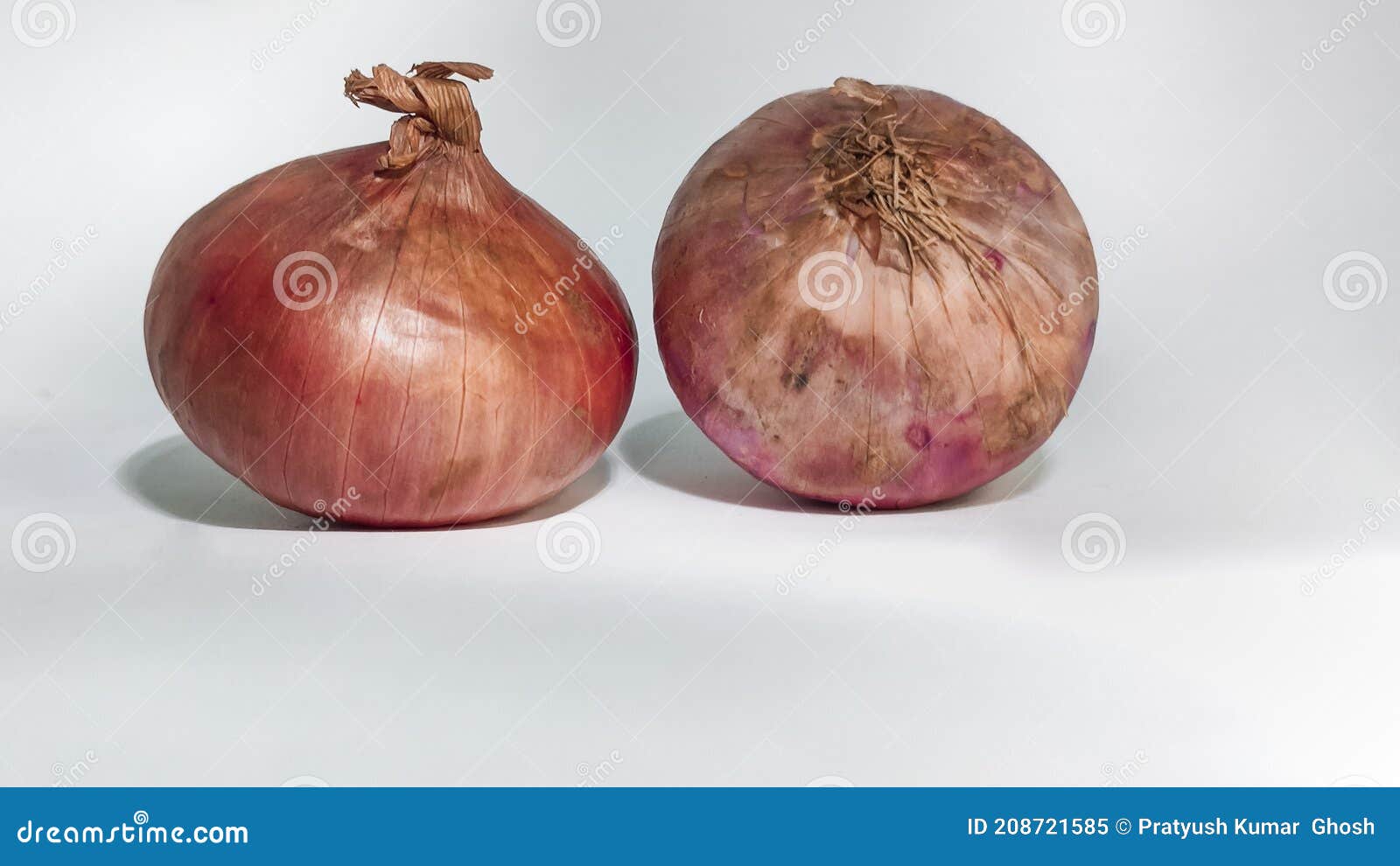 Fresh Onions on a White Isolated Surface Stock Image - Image of ...