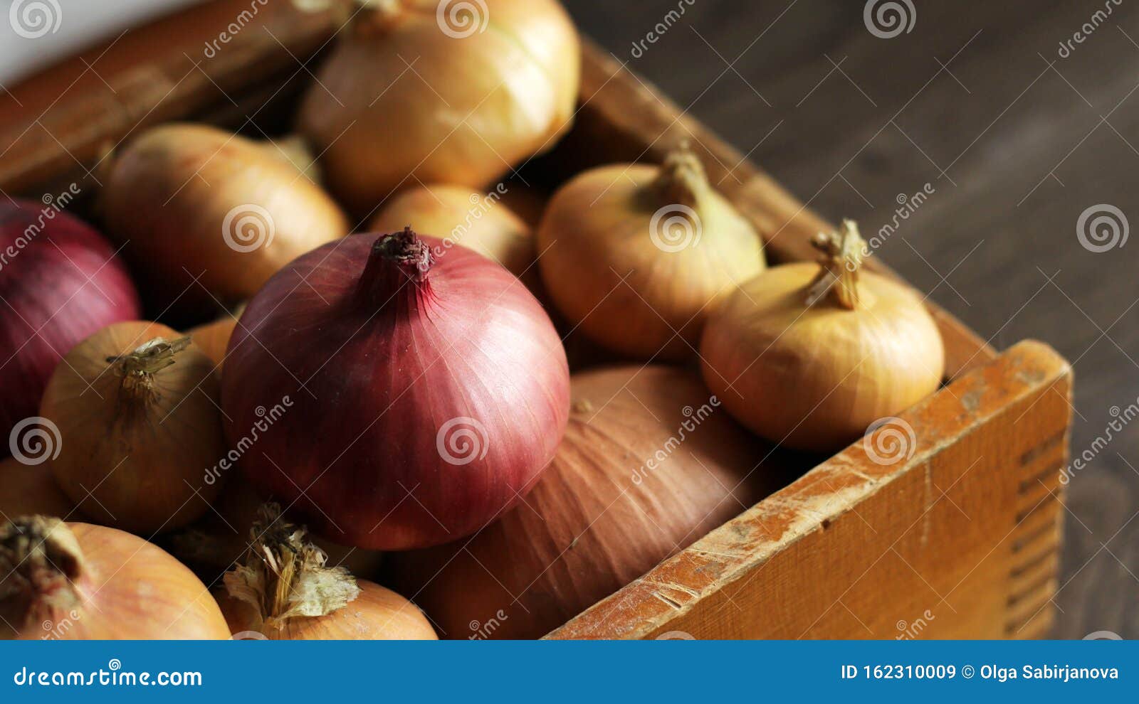 Fresh Onions in a Wooden Box Stock Image - Image of pile, green: 162310009