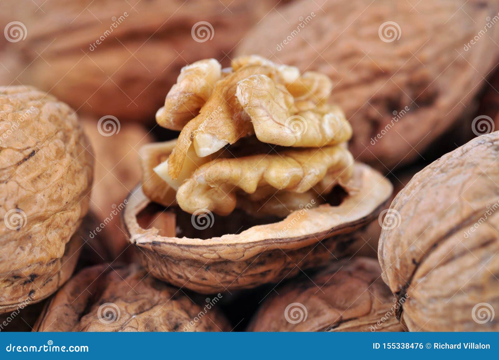 Fresh open walnut close up stock photo. Image of food - 155338476