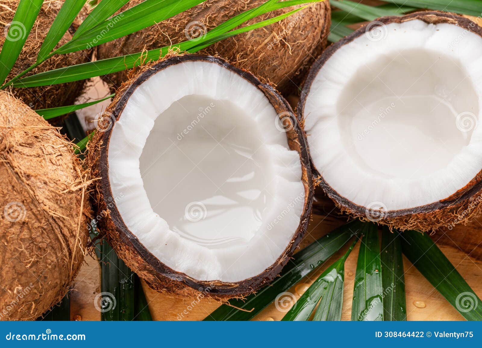 Fresh Opened Coconuts Along with Whole Coconuts and Coconut Leaves on a ...