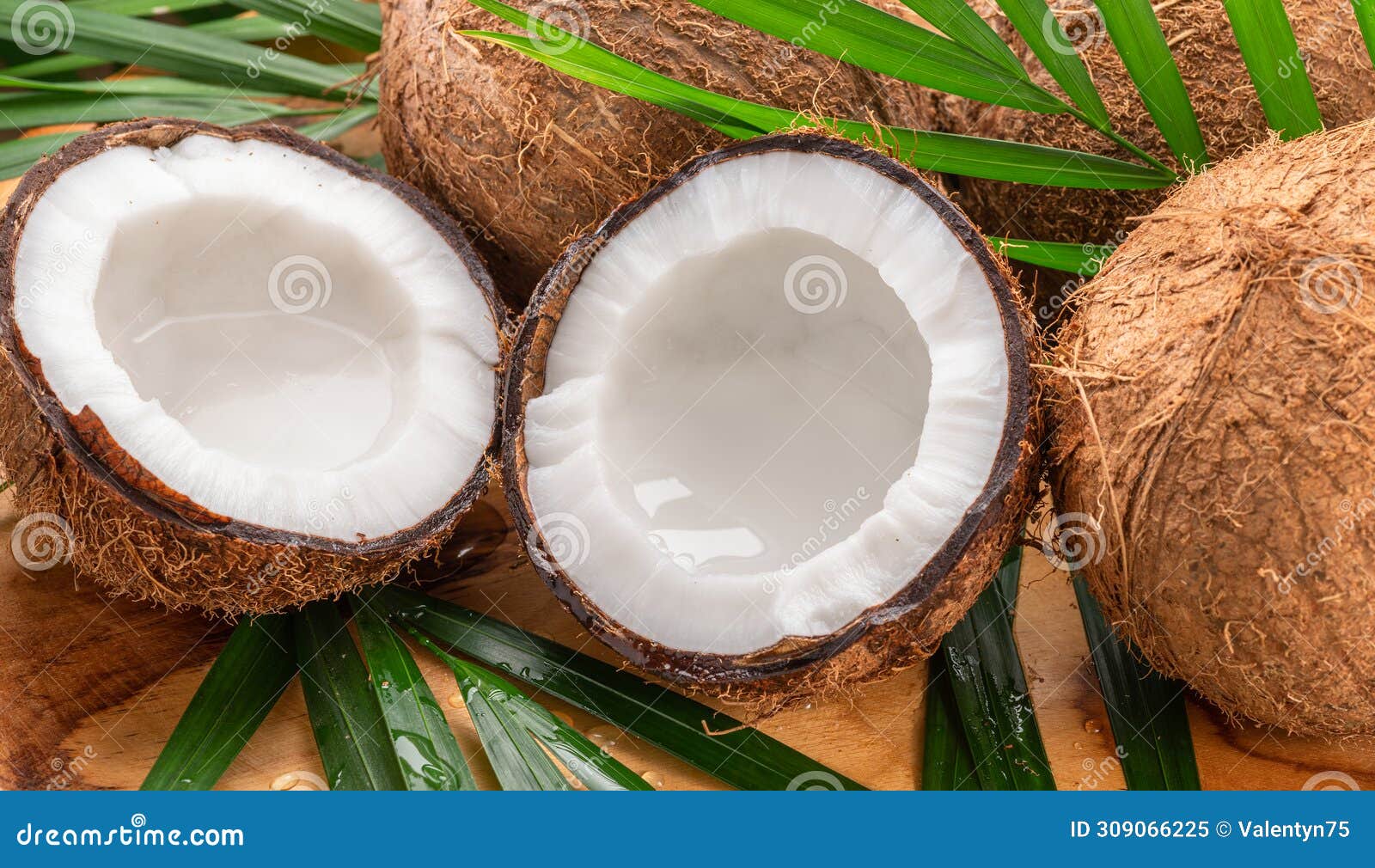Fresh Opened Coconuts Along with Whole Coconuts and Coconut Leaves on a ...