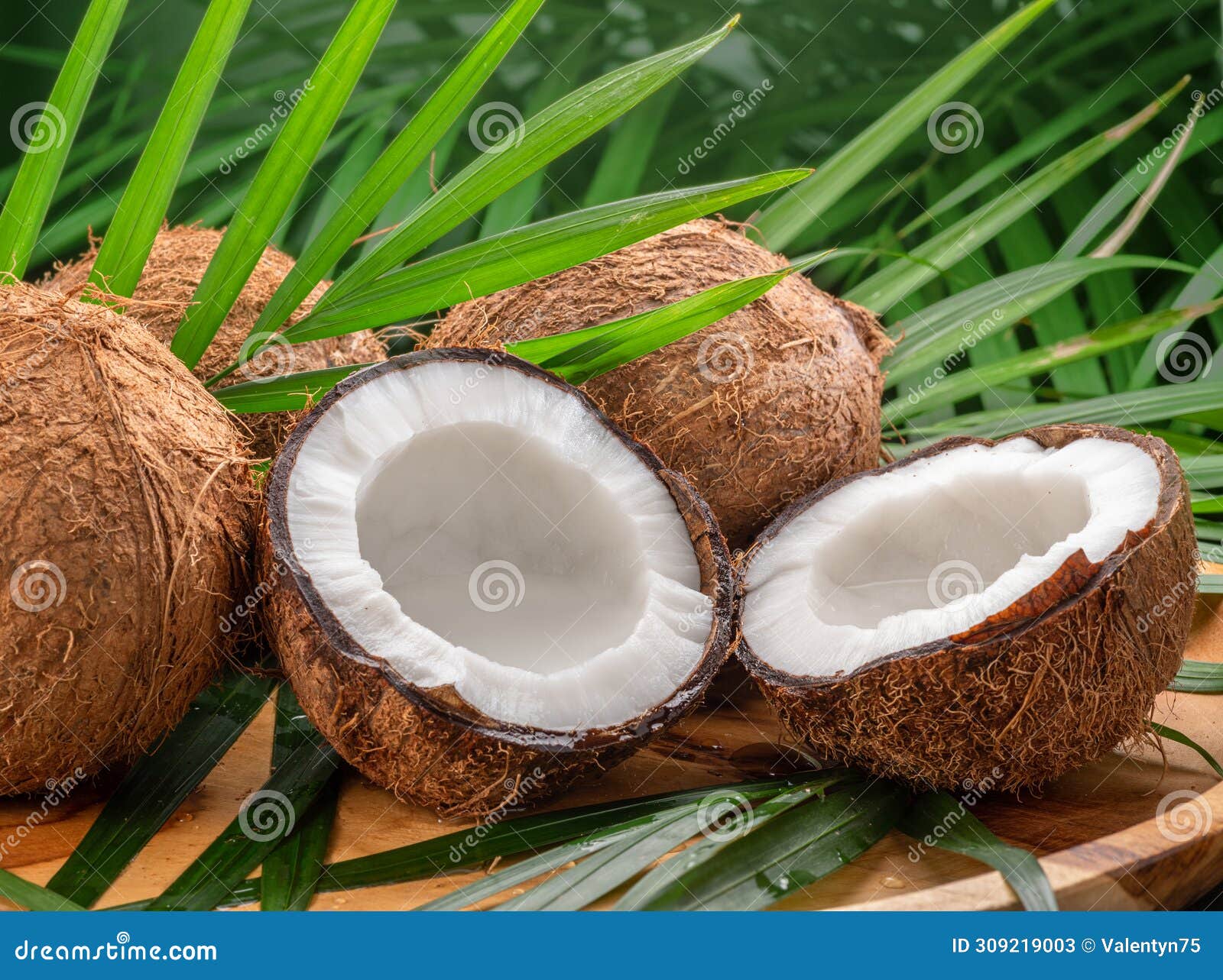 Fresh Opened Coconuts Along with Whole Coconuts and Coconut Leaves on a ...