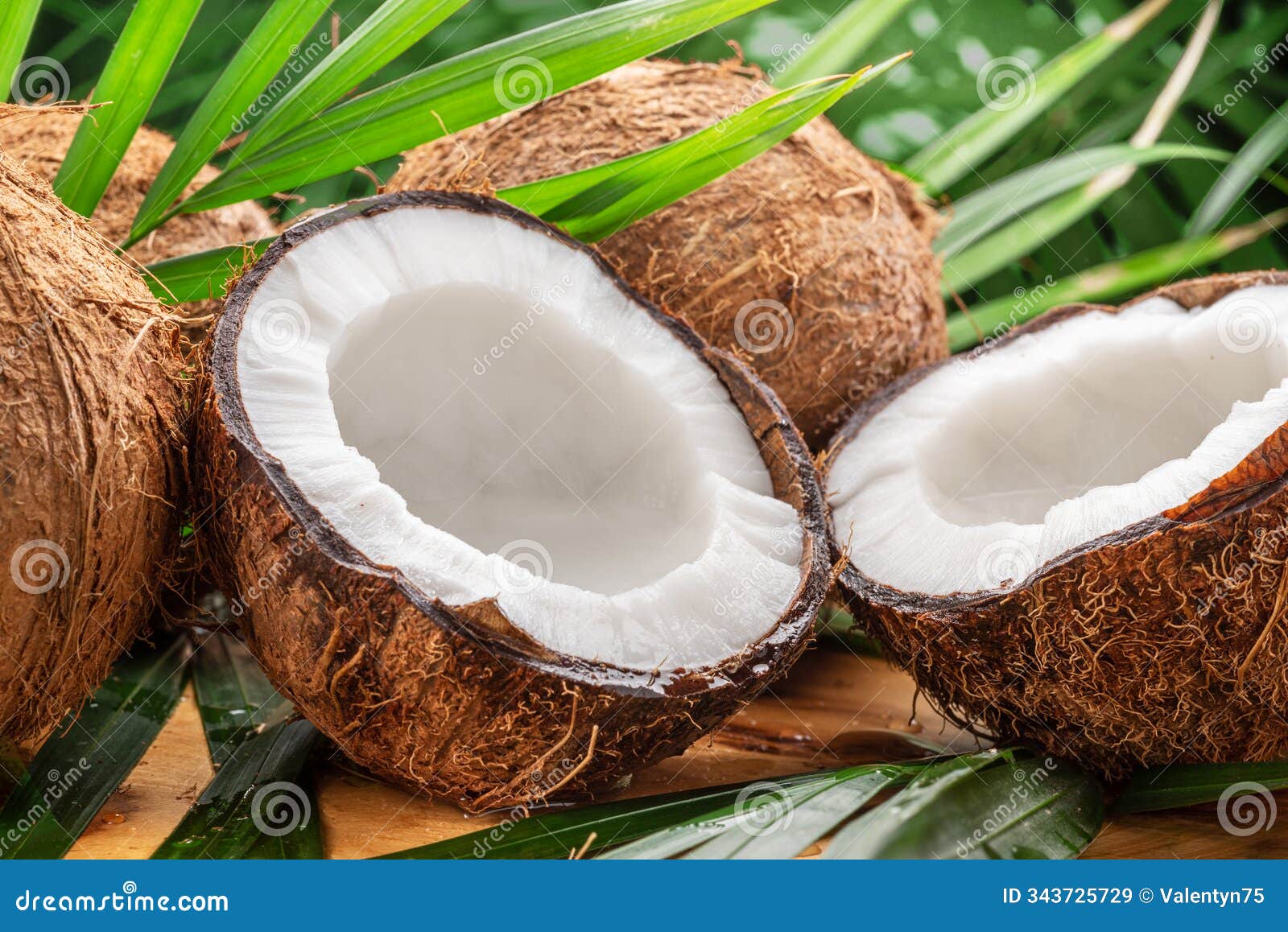 Coconut With Leaves Stock Photo | CartoonDealer.com #18423114