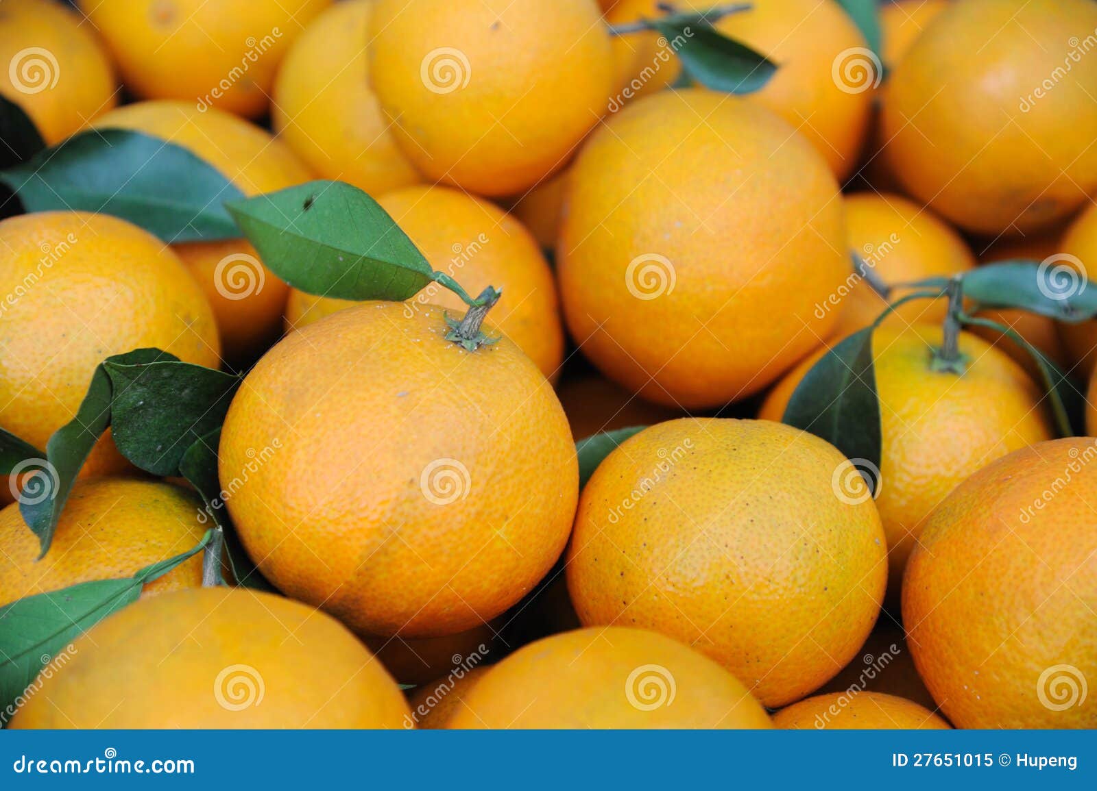 Fresh orange stock image. Image of grocery, aisle, agriculture - 27651015