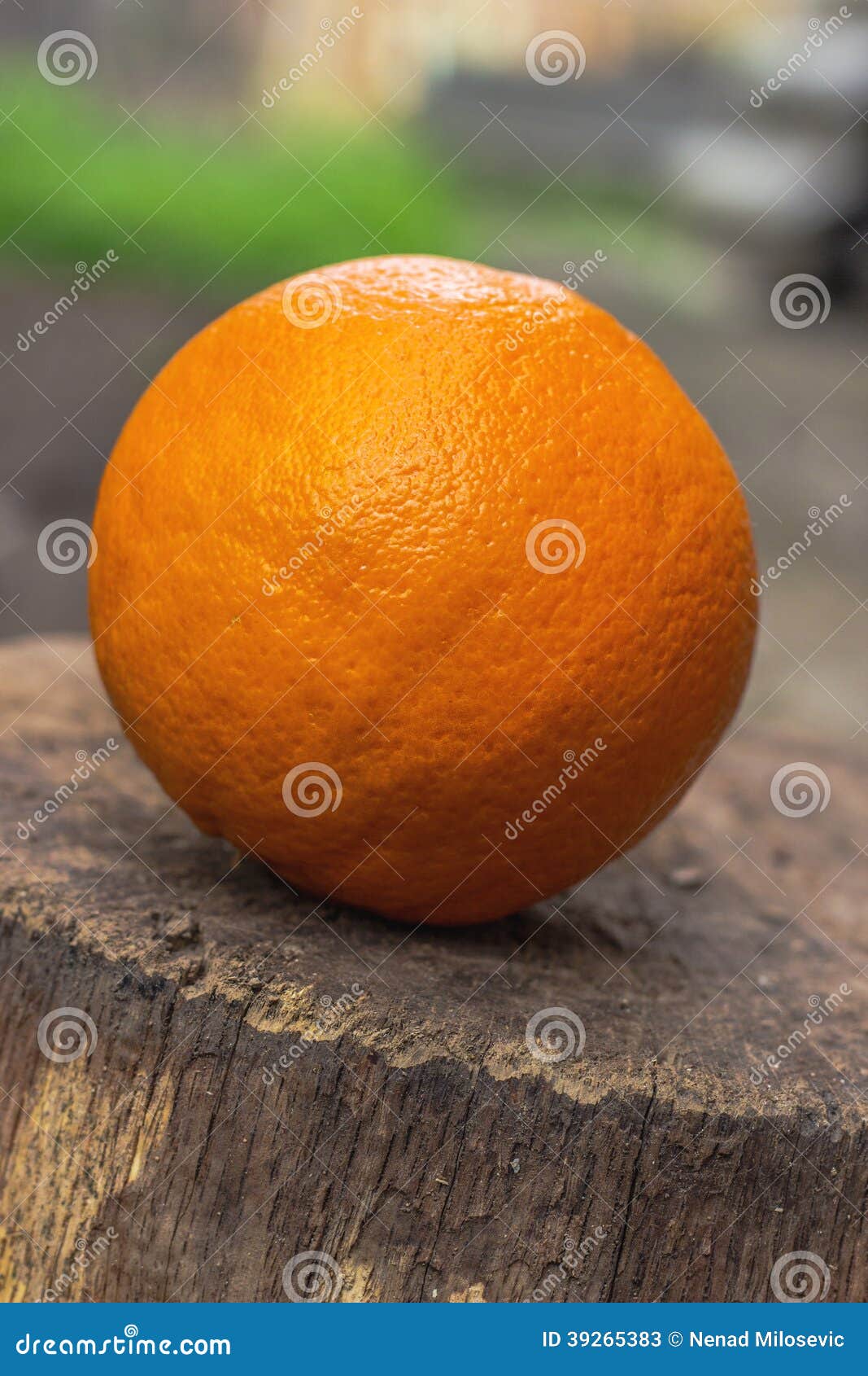 Fresh Orange stock image. Image of piece, color, flora - 39265383